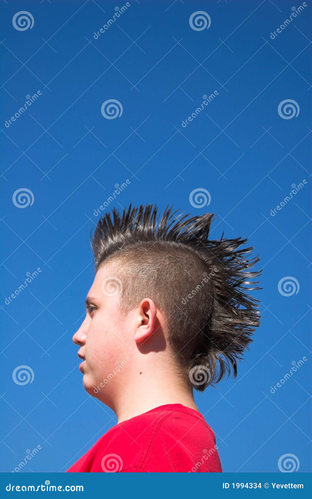 Mohawk Side View