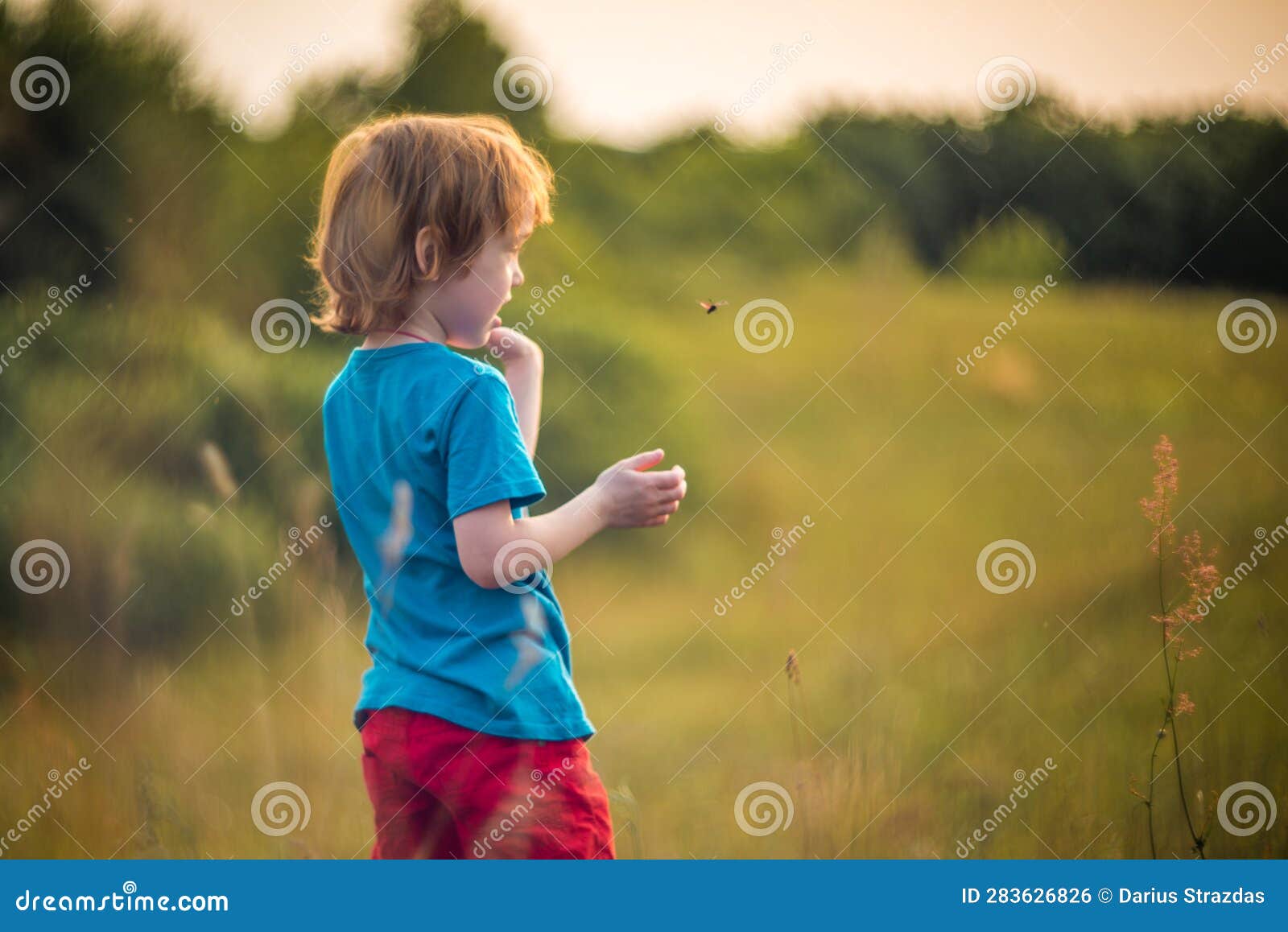 Kid in Nature Playing with Flying Beetles Stock Photo - Image of flying ...
