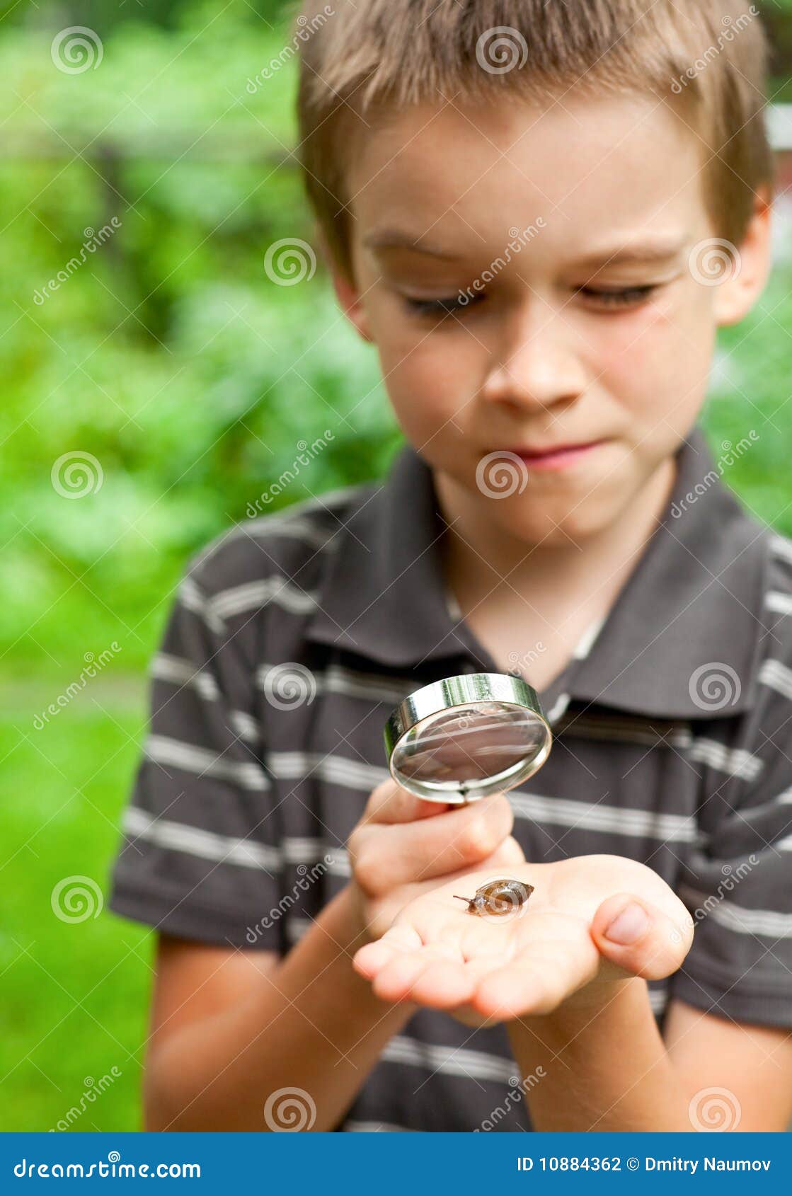 Kid observing snail stock photo. Image of child, infant - 10884362