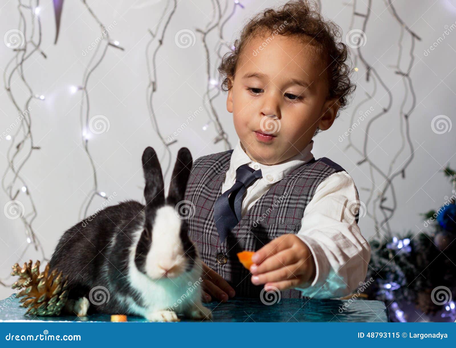 Kid playing with a rabbit. stock image. Image of pamper - 48793115