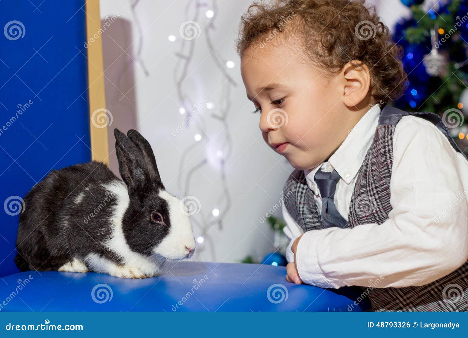 Kid playing with a rabbit. stock photo. Image of person - 48793326