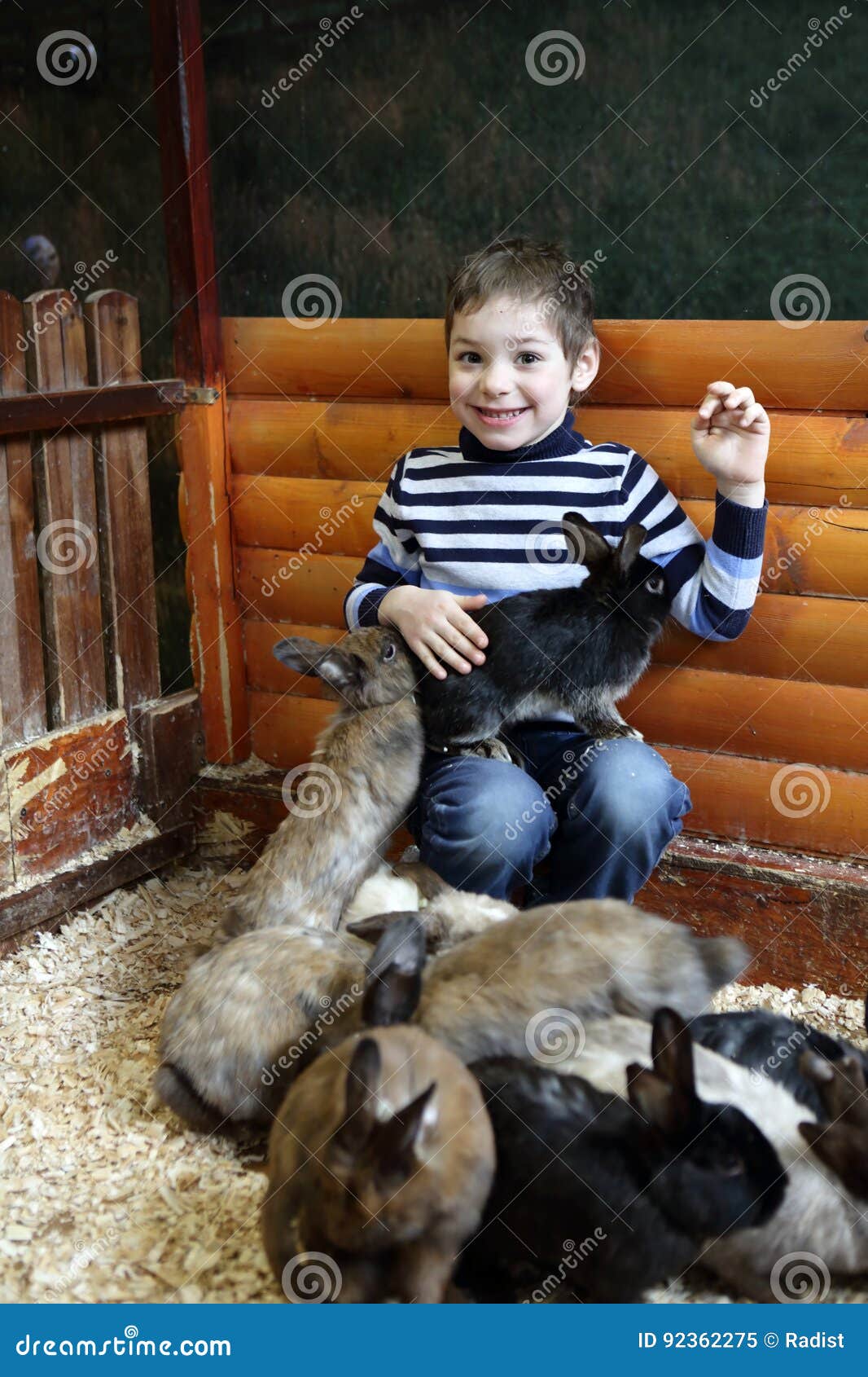 Kid playing with rabbits stock image. Image of animal - 92362275