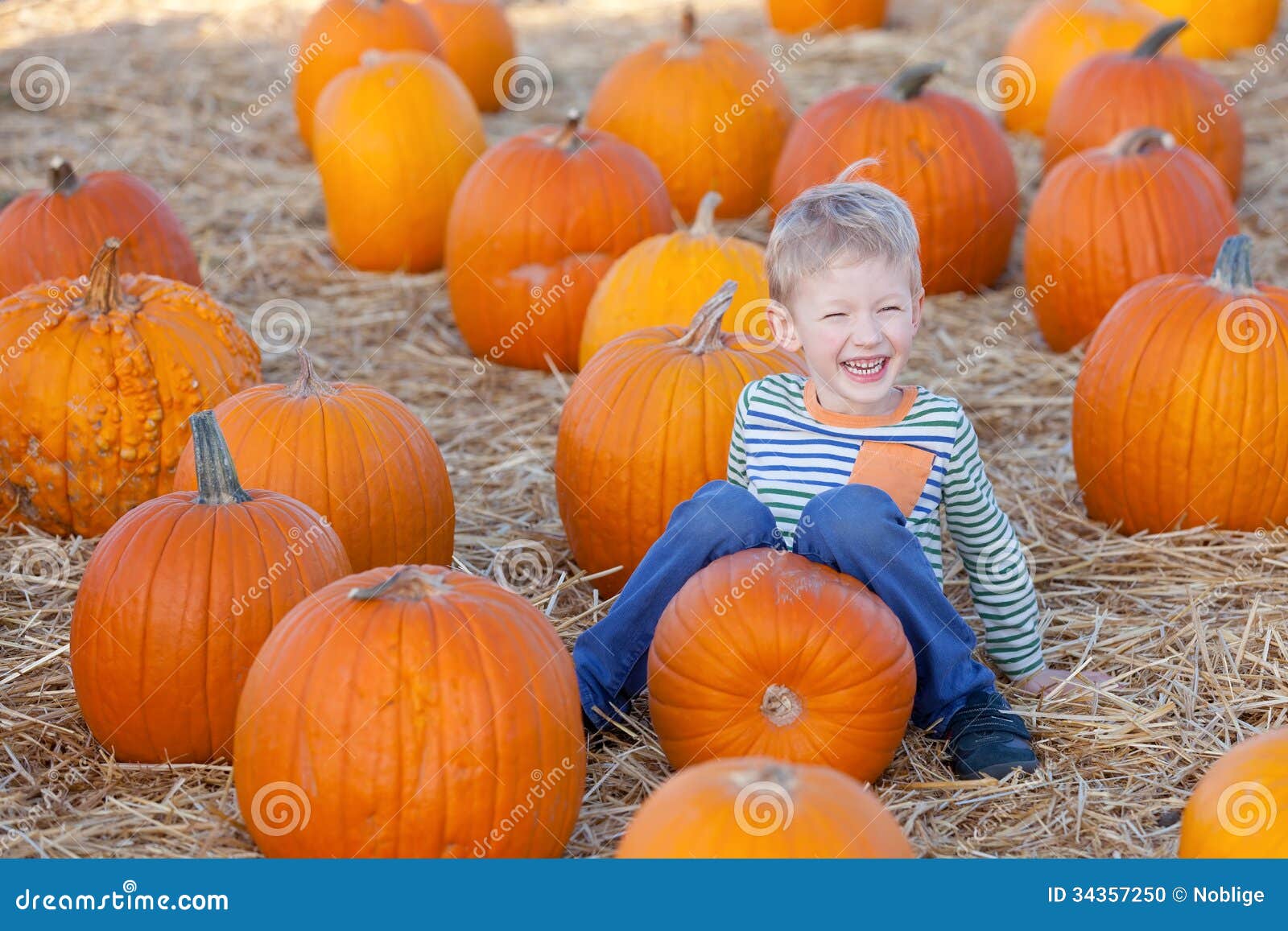 Kid at pumpkin patch stock photo. Image of patch, cute - 34357250
