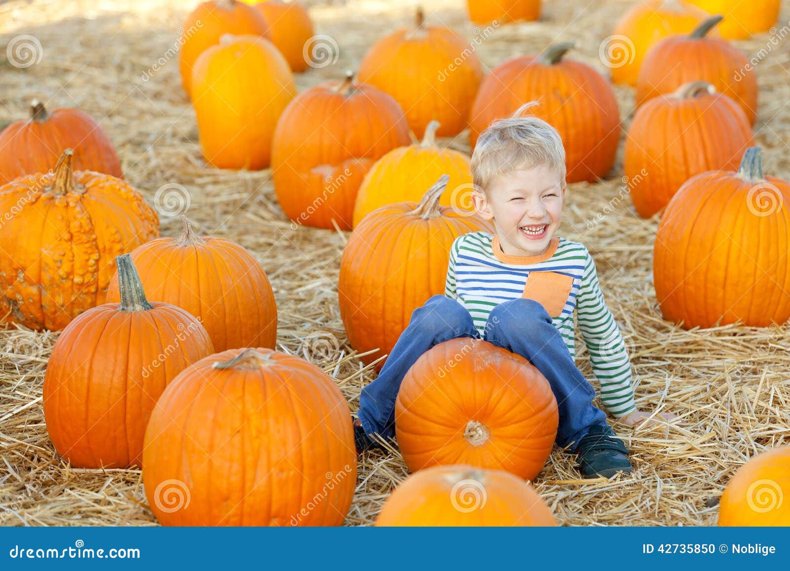 Kid at pumpkin patch stock photo. Image of family, portrait - 42735850