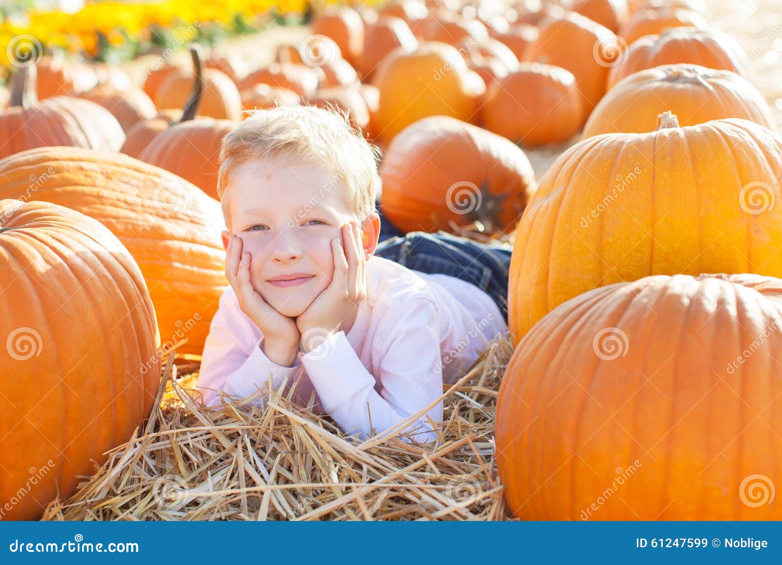 Kid at pumpkin patch stock image. Image of american, family - 61247599