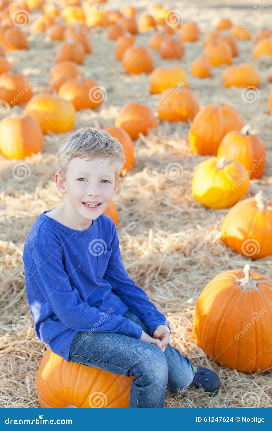Kid at pumpkin patch stock photo. Image of october, child - 61247624