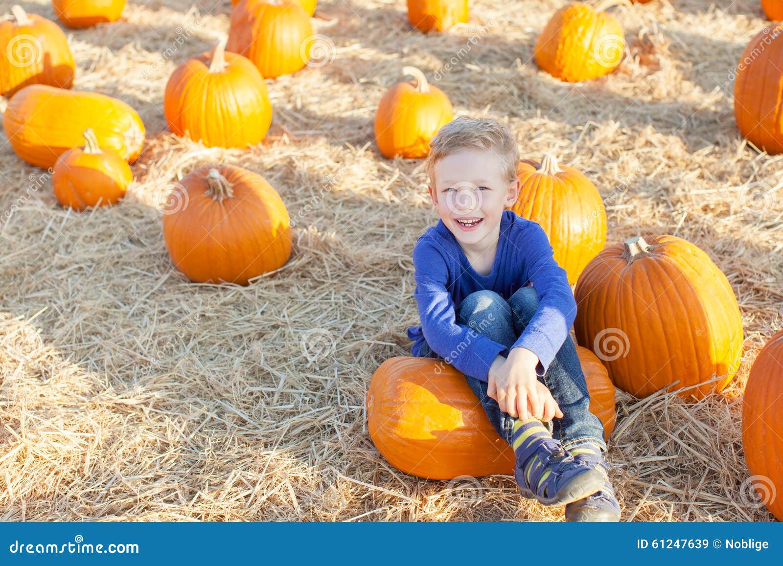 Kid at pumpkin patch stock image. Image of childhood - 61247639