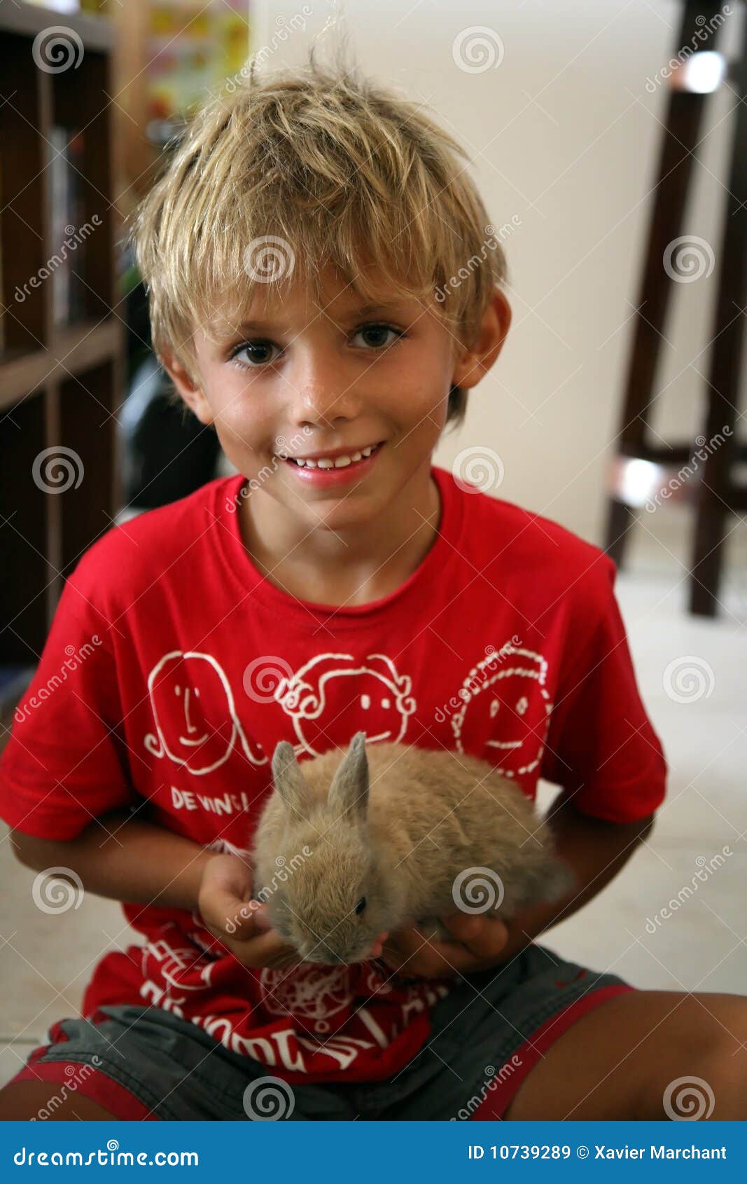 Kid with rabbit stock image. Image of hands, child, young - 10739289
