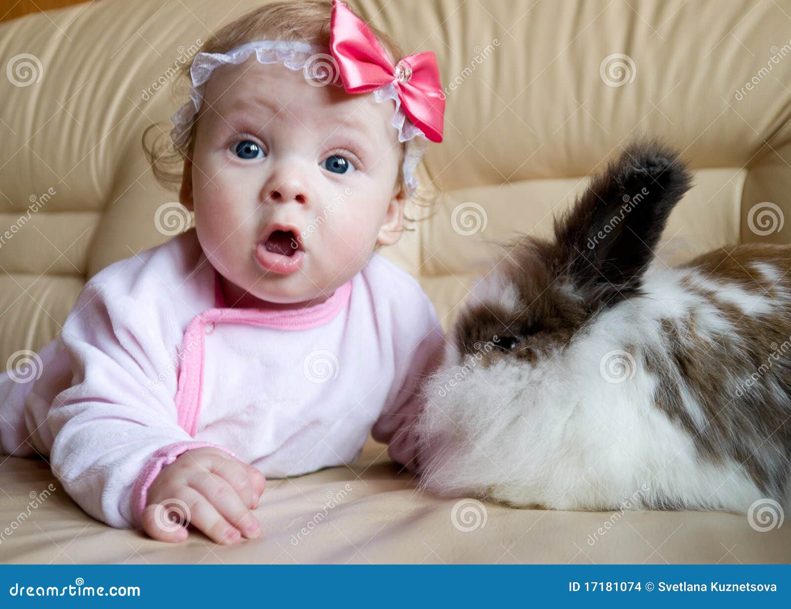 The kid and the rabbit stock photo. Image of caring, fluffy - 17181074