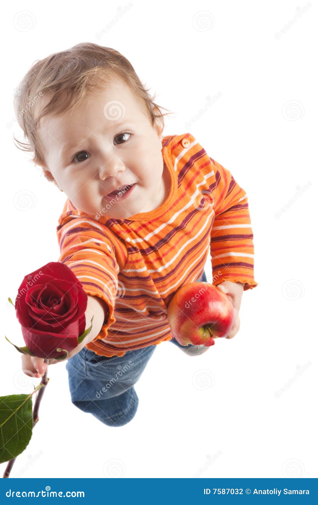 Kid with a rose stock photo. Image of present, childhood - 7587032