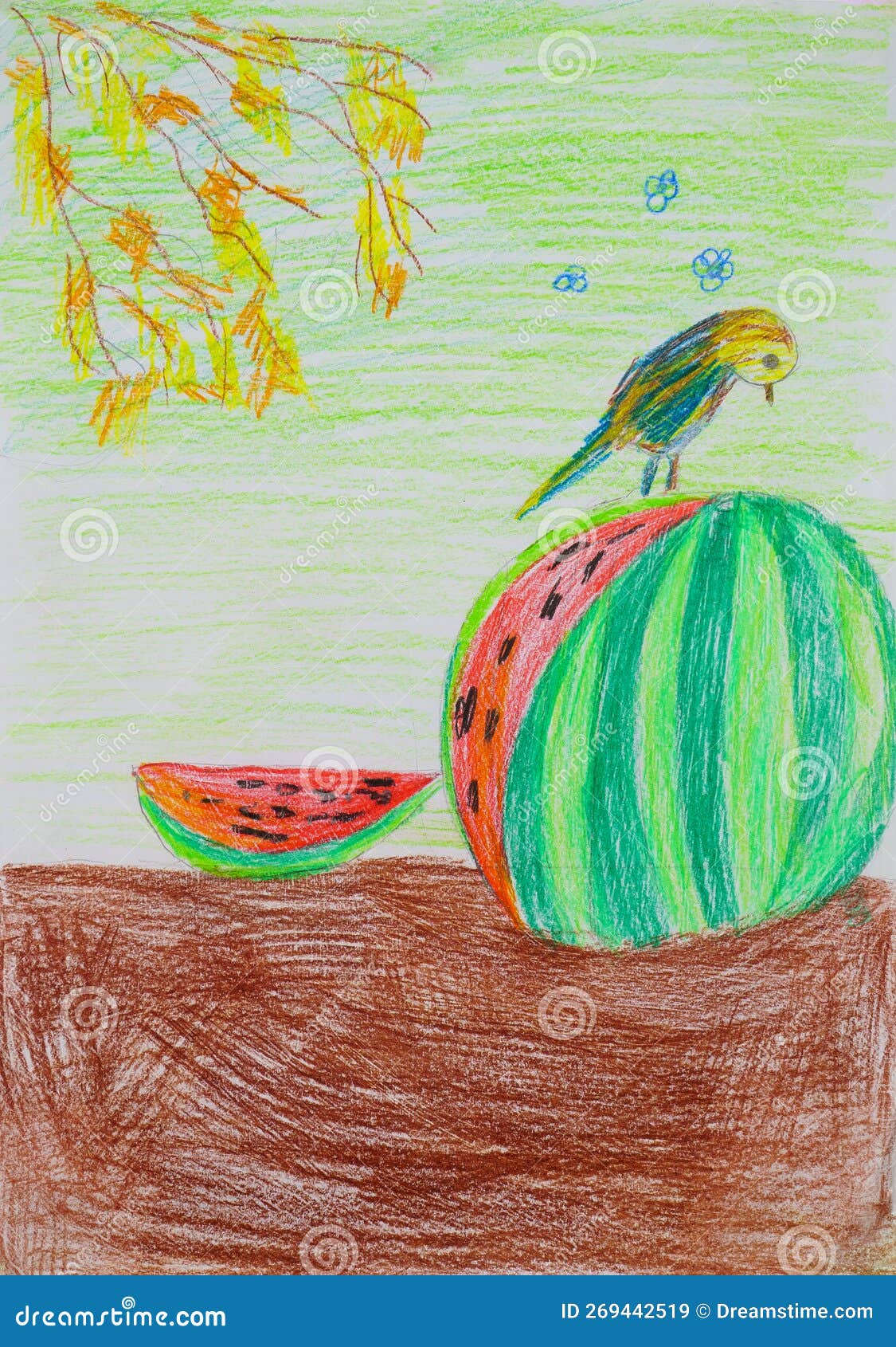 Kid S Drawing of a Watermelon and a Bird Stock Image - Image of brush ...