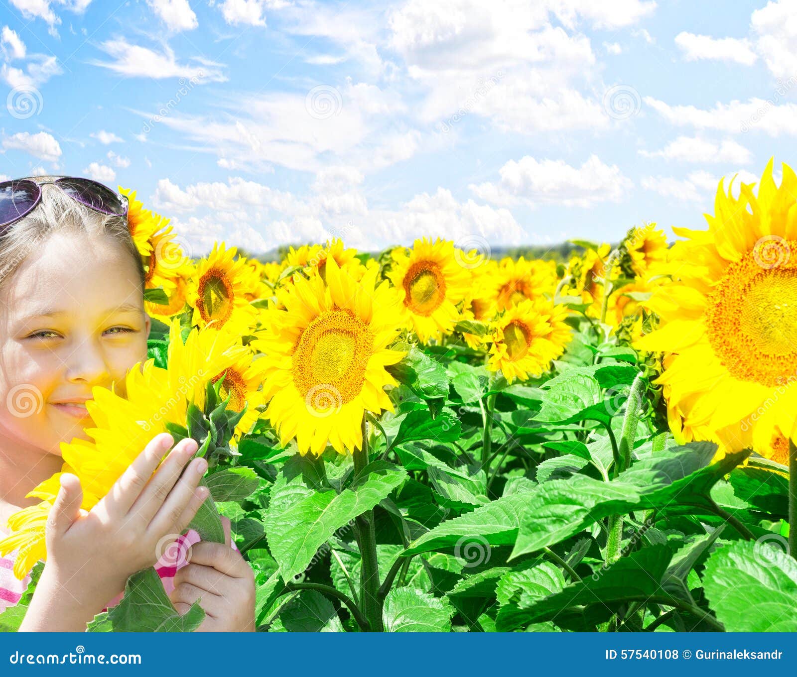 Kid and sunflowers stock photo. Image of looking, springtime - 57540108