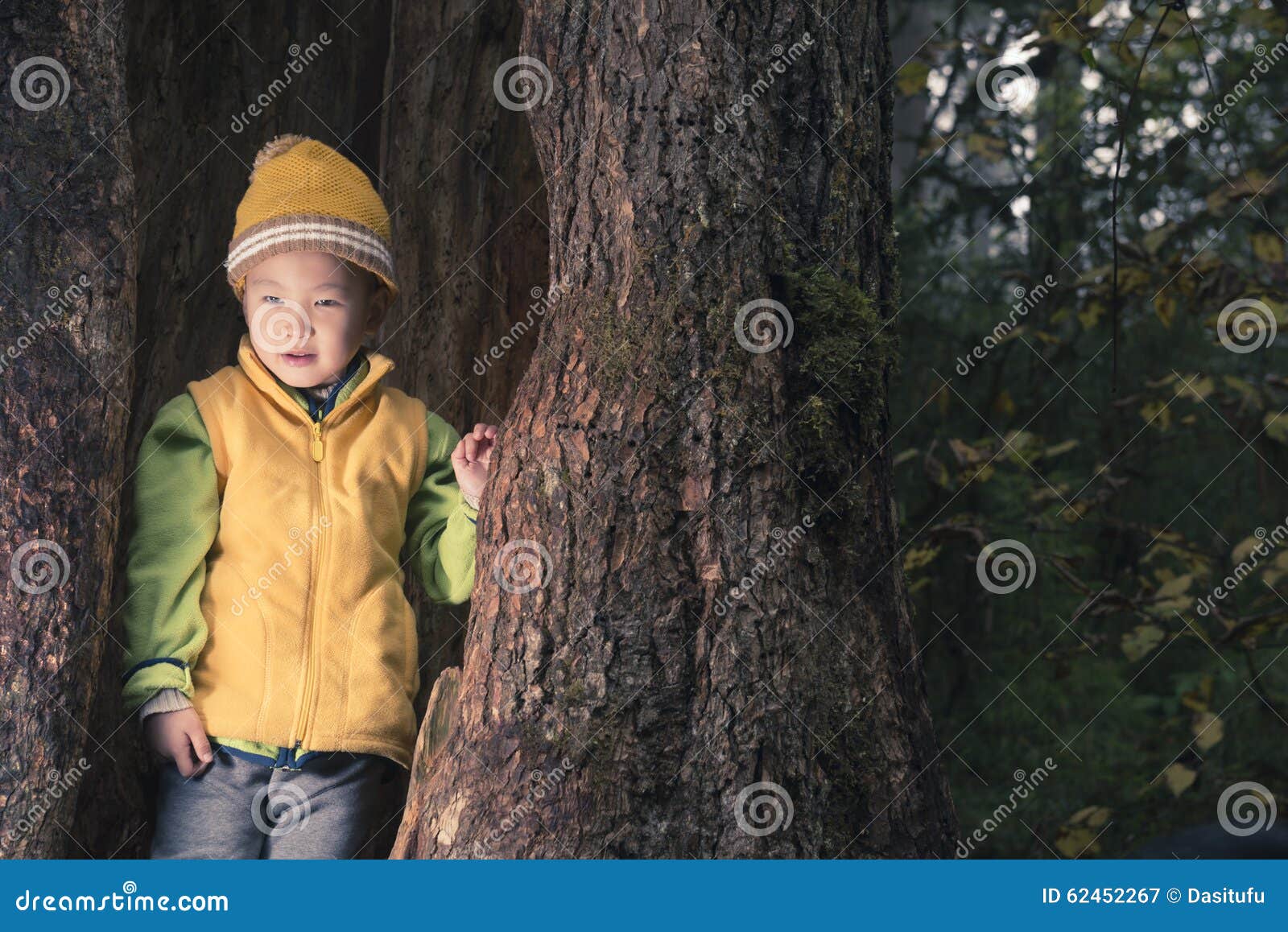 Kid in tree hole stock image. Image of forest, adorable - 62452267