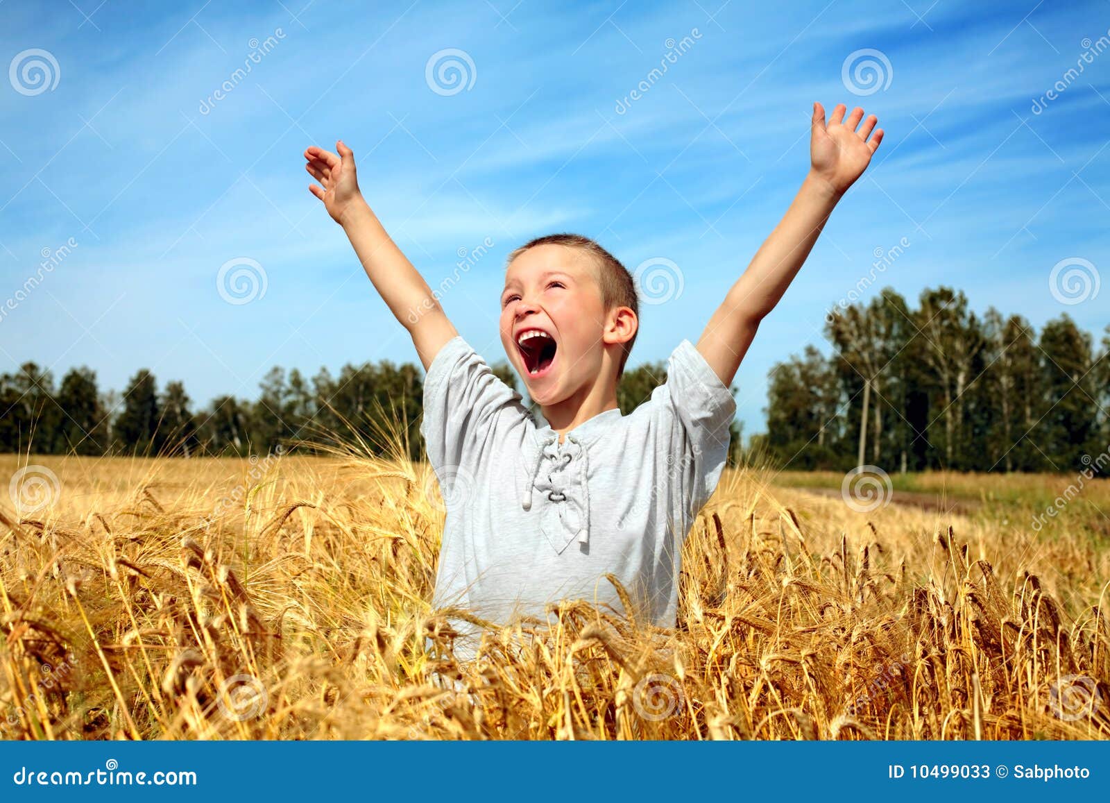 Kid in wheat field stock image. Image of blue, childhood - 10499033
