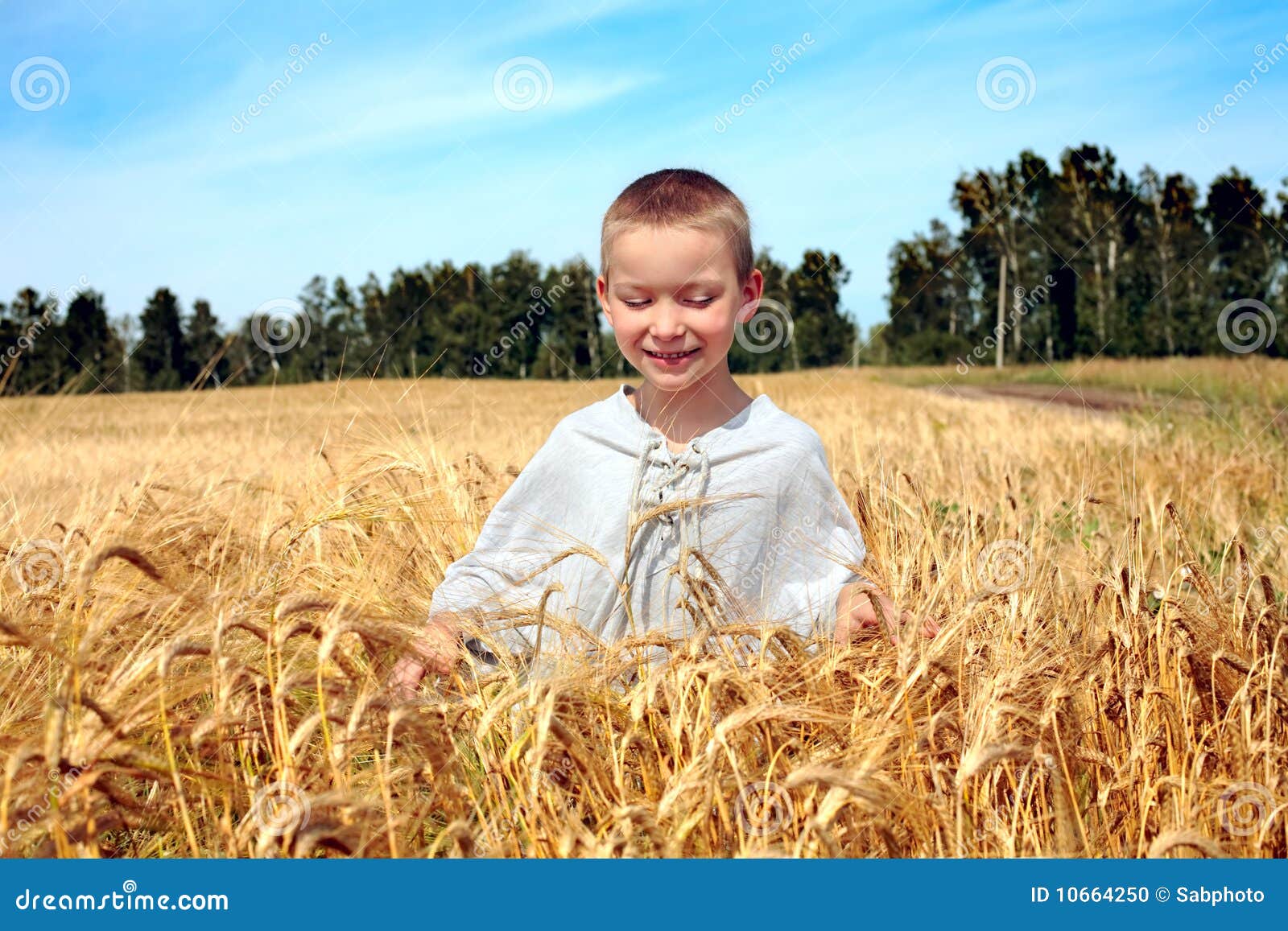 Kid in wheat field stock photo. Image of clothing, child - 10664250