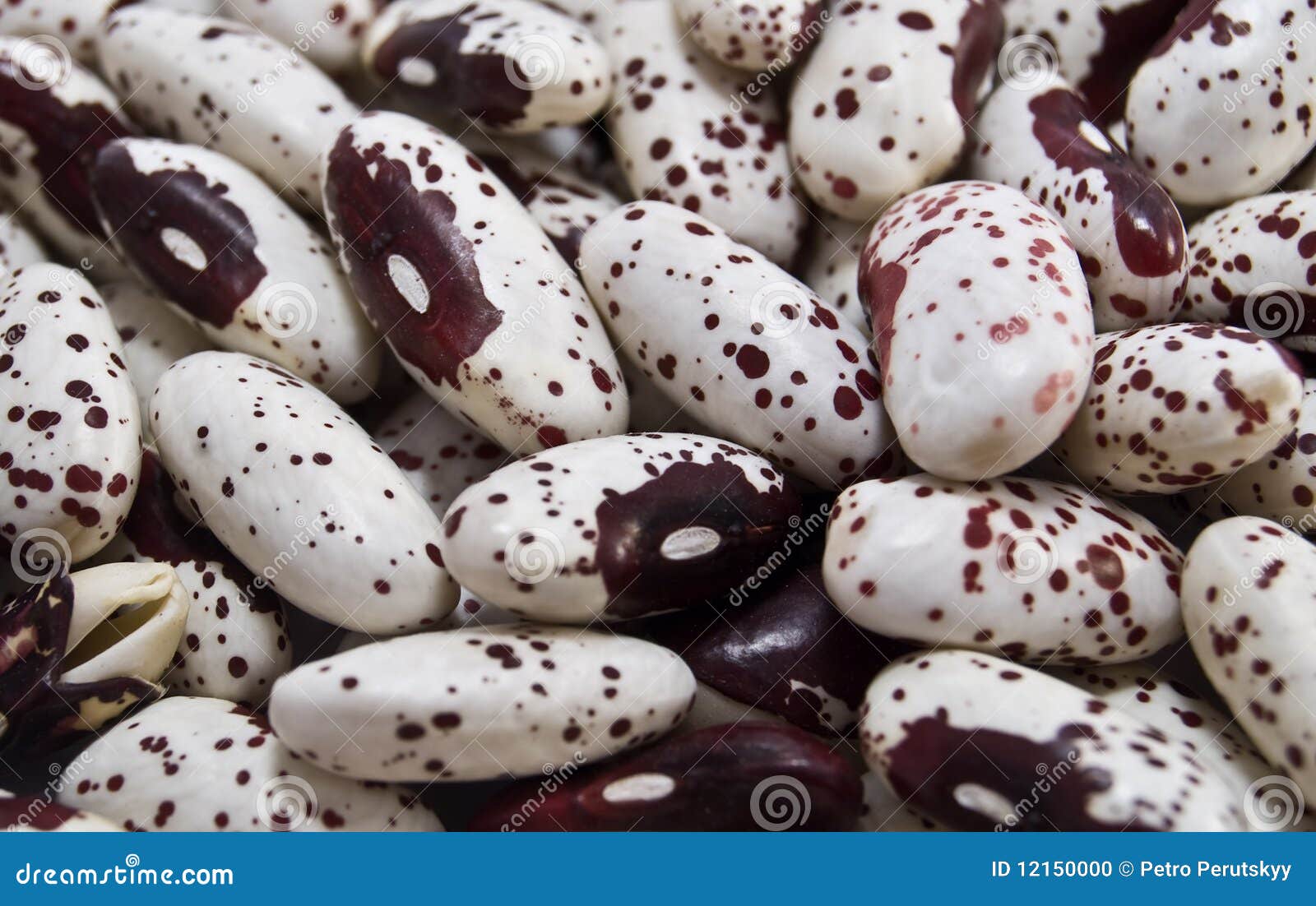 Kidney bean stock photo. Image of vegetarian, brown, food - 12150000