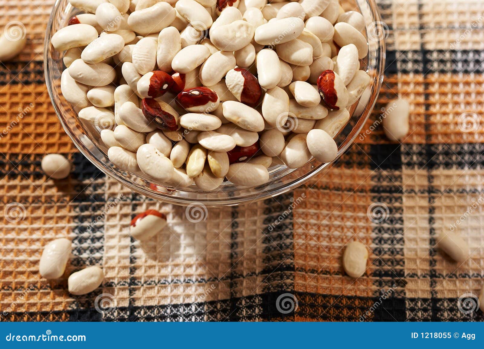 Kidney Bean Petiole Cross Section Stock Photography | CartoonDealer.com ...