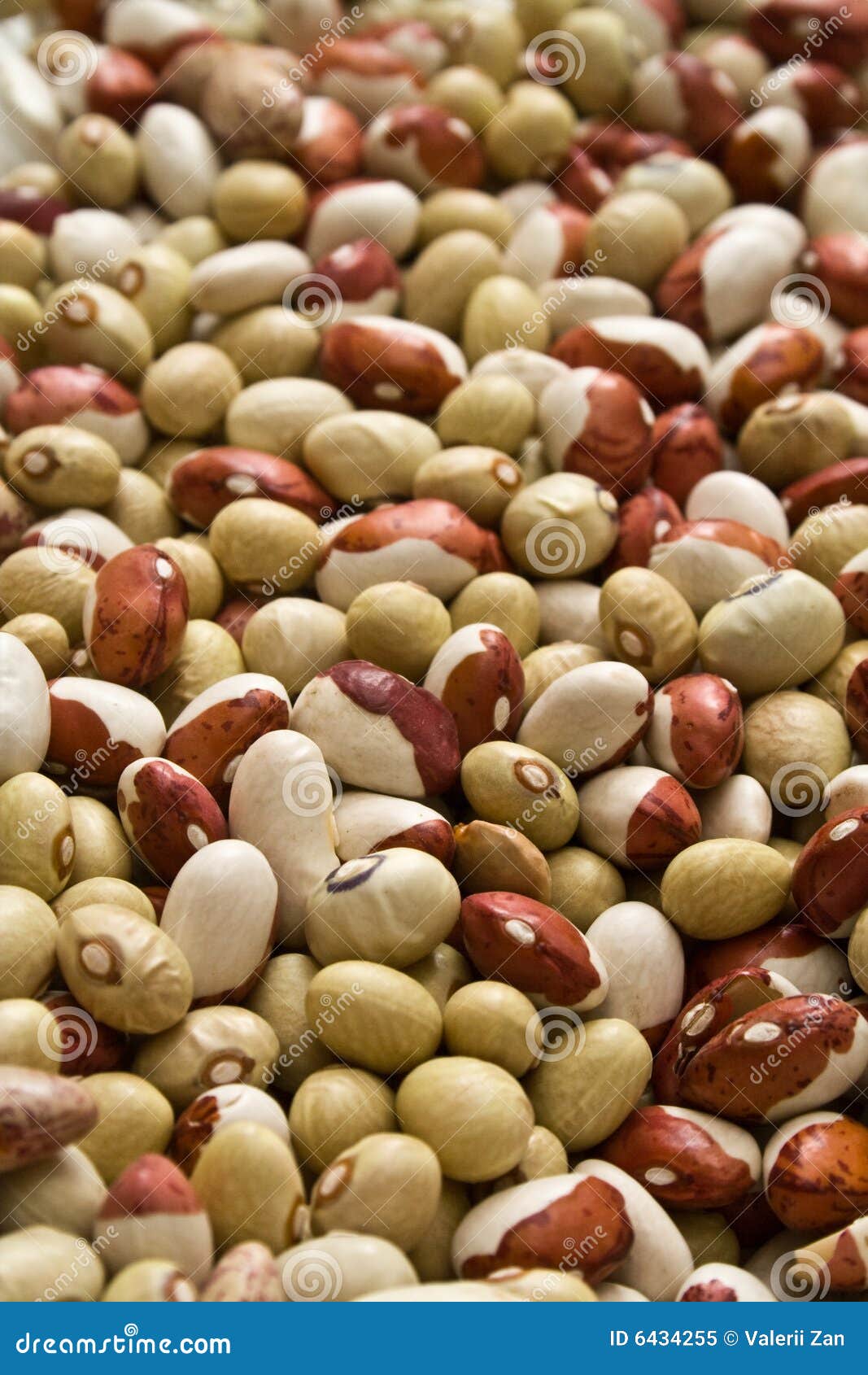 Kidney Bean Picture. Image: 6434255