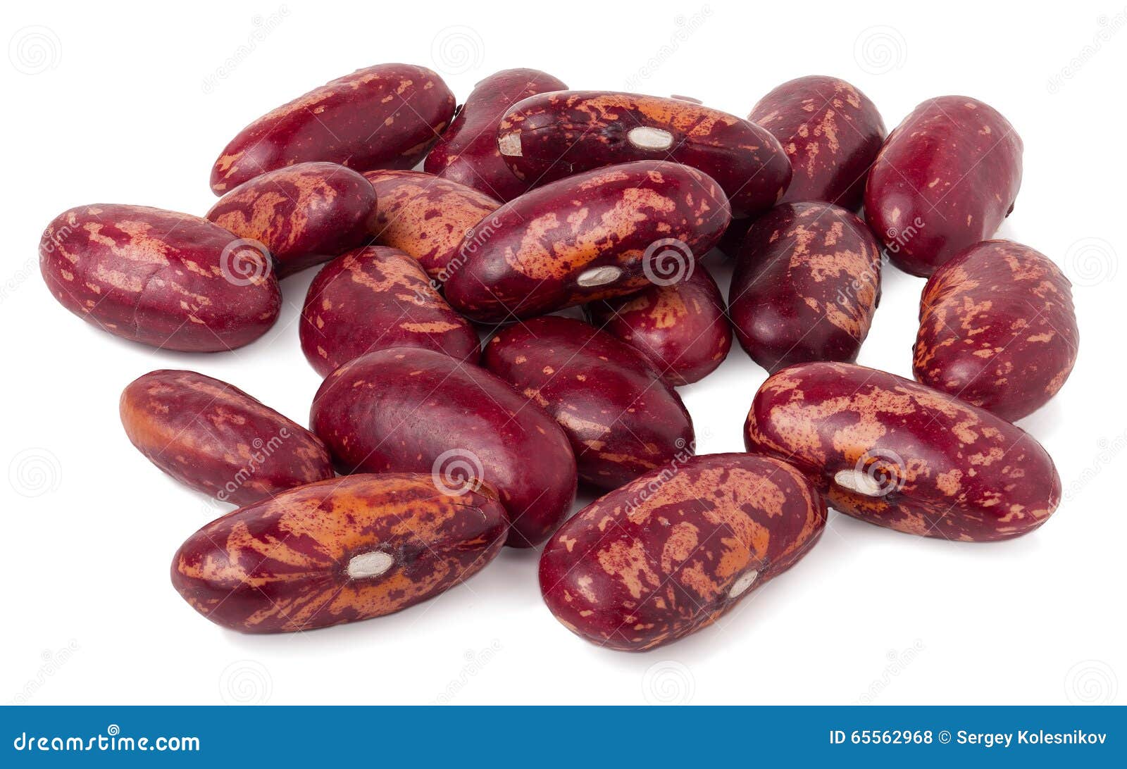 Kidney bean close-up stock photo. Image of seed, legume - 65562968