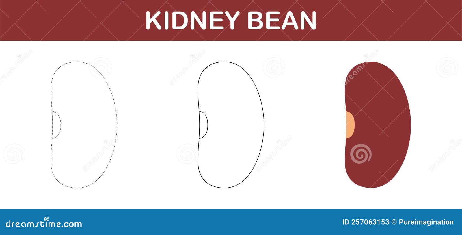 Kidney Coloring Page For Kids