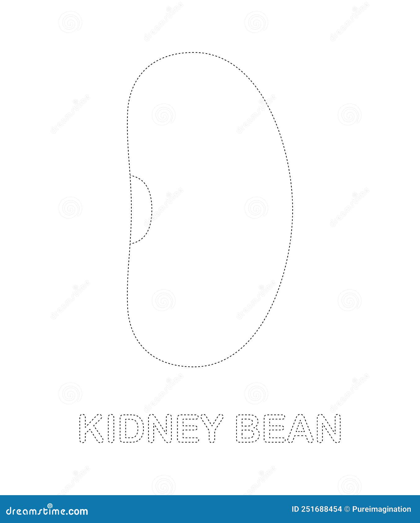 Kidney Bean Tracing Worksheet for Kids Stock Vector - Illustration of ...