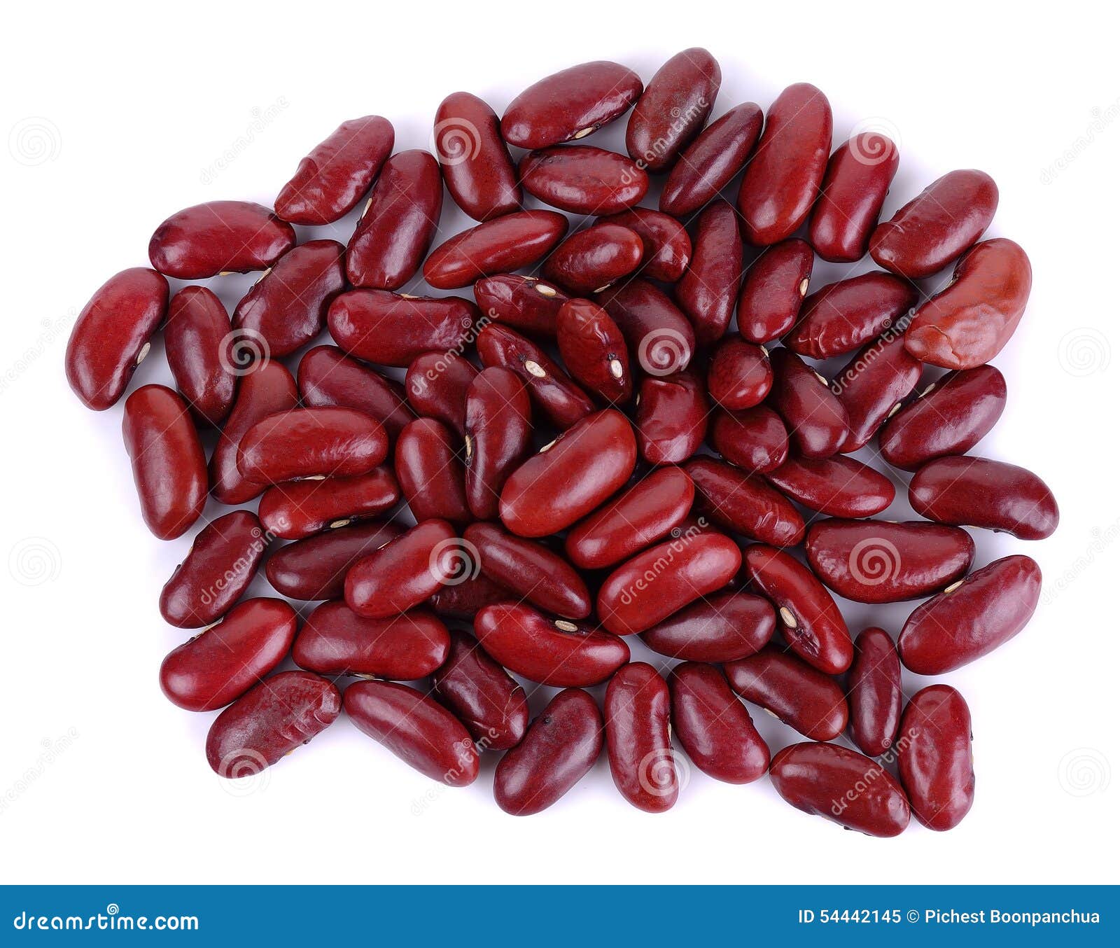 Kidney Bean on the White Background Stock Image - Image of grain, asia ...