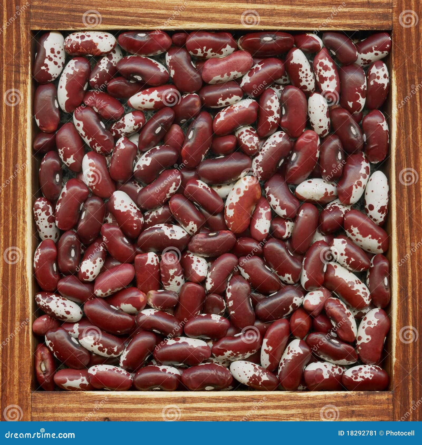 Kidney beans stock image. Image of square, food, border - 18292781
