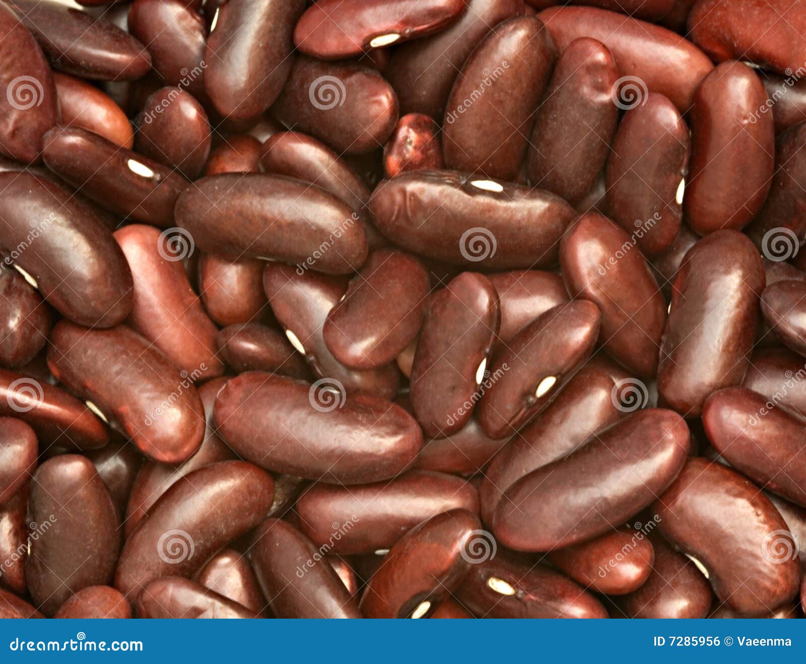Kidney beans stock photo. Image of diversity, beans, kidney - 7285956