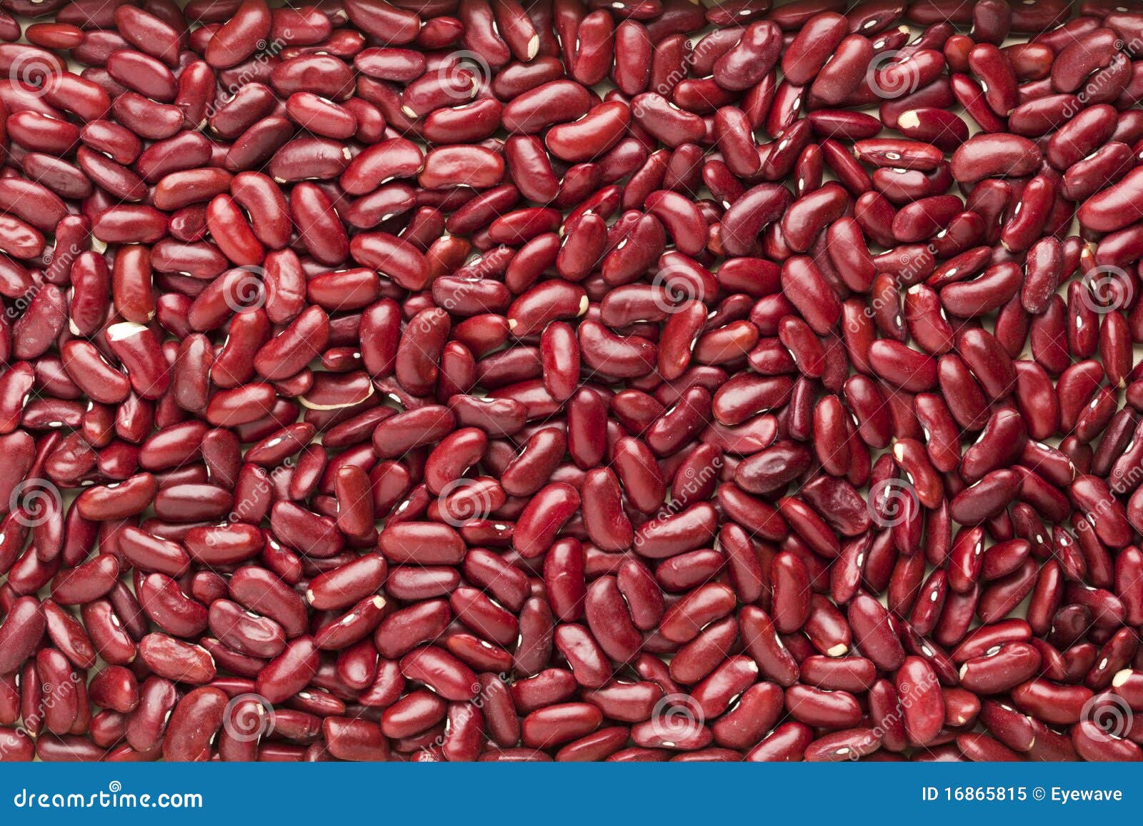 Kidney beans background stock image. Image of abstract - 16865815