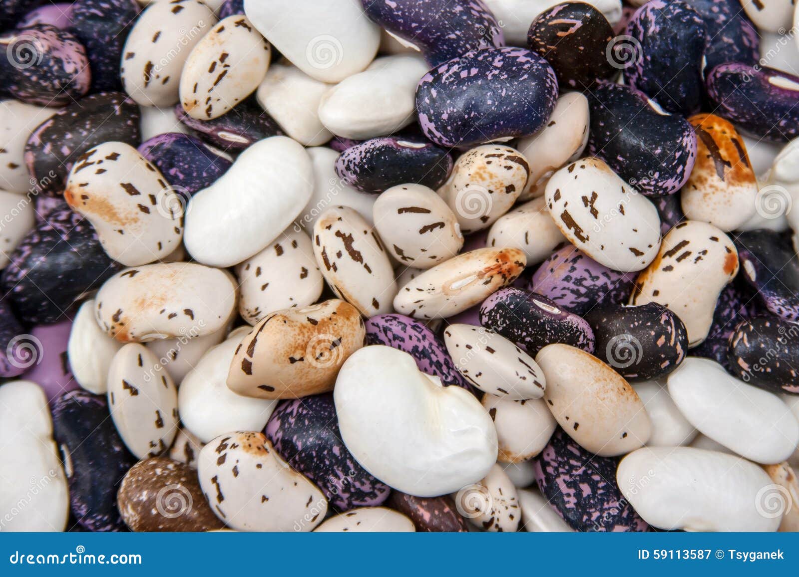 Kidney beans stock image. Image of beans, purple, kidney - 59113587