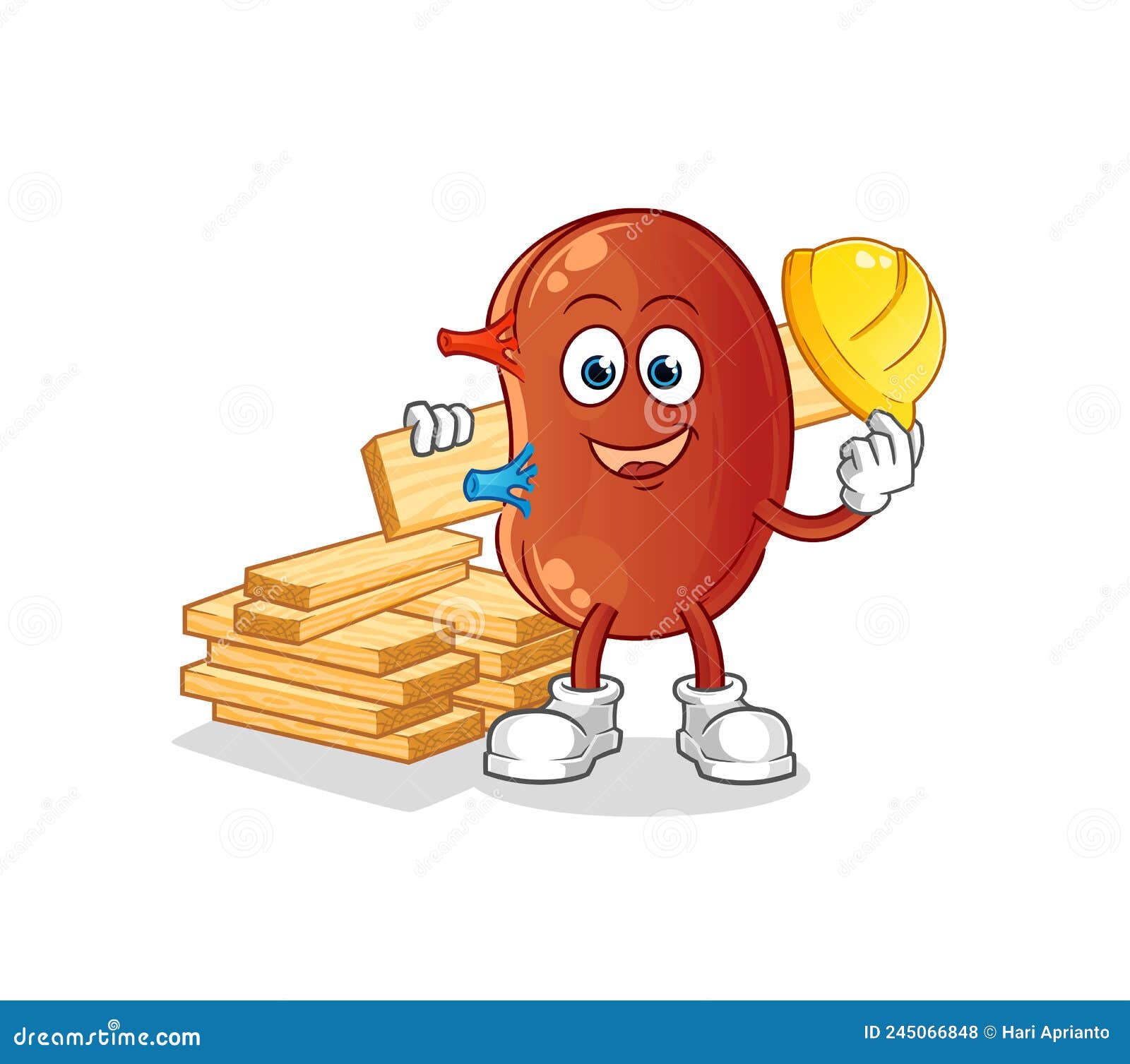 Kidney Builder Vector. Cartoon Character | CartoonDealer.com #245066848
