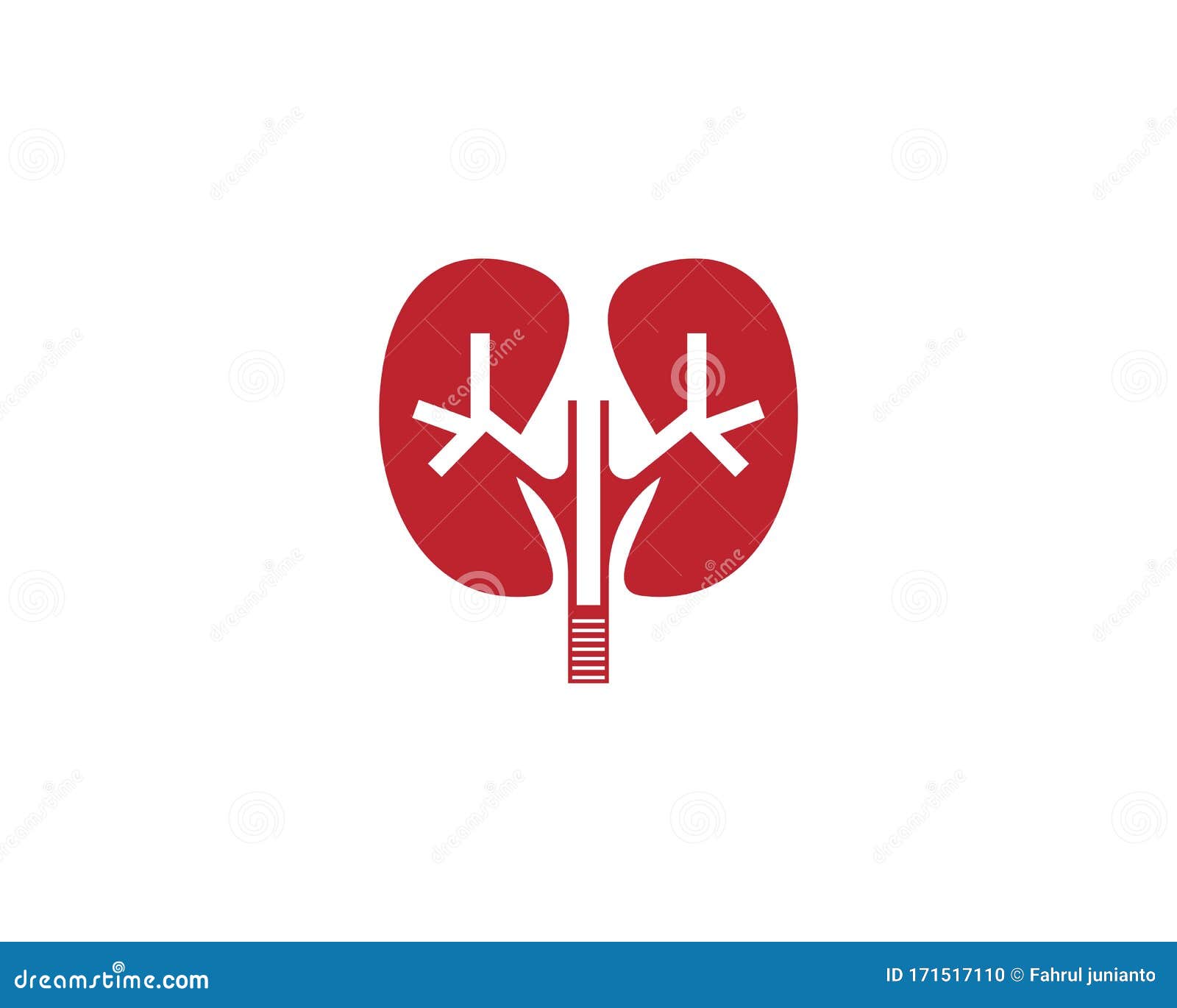 Kidney Care Icon and Symbol Vector Illustration Stock Illustration ...