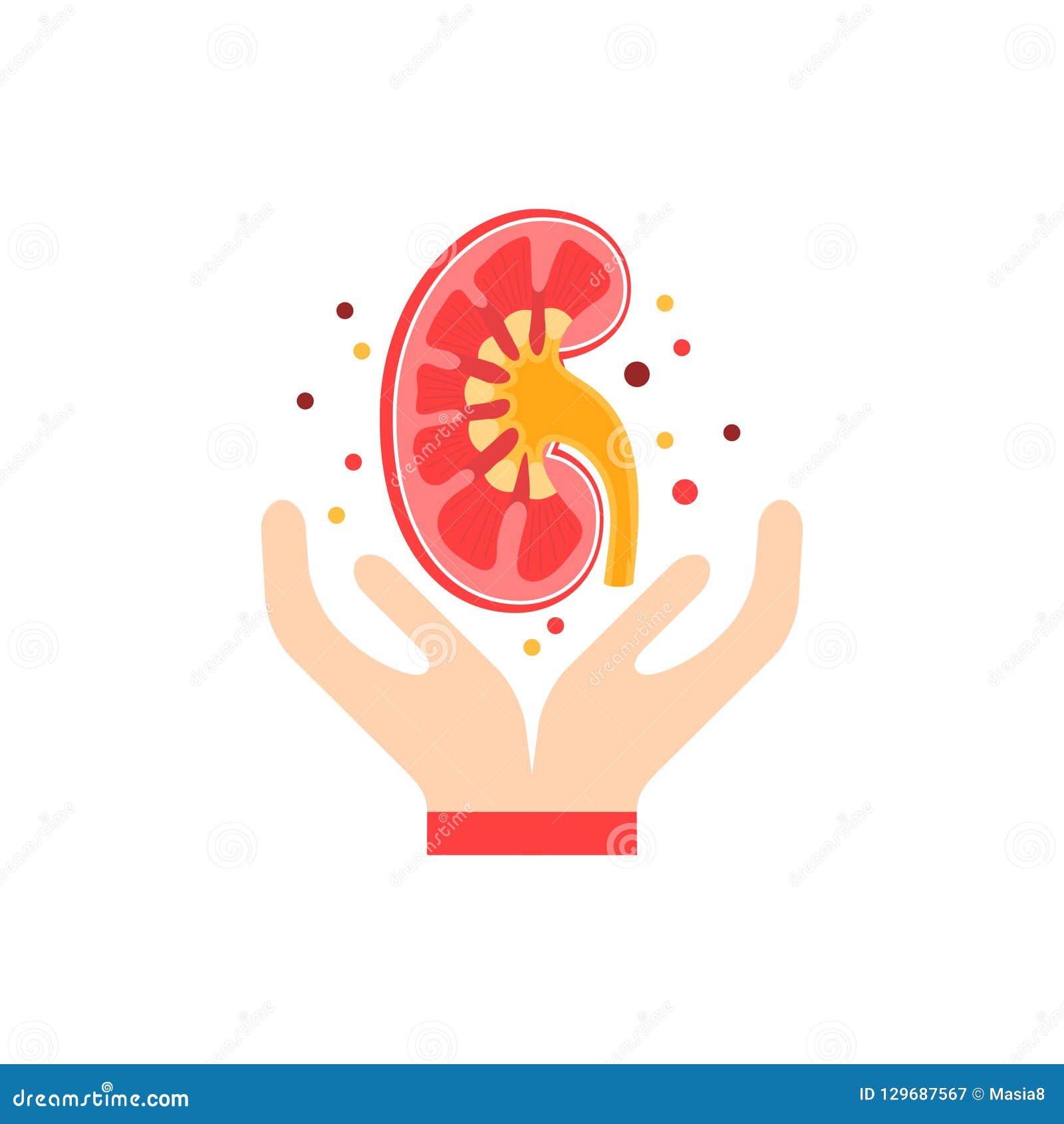Kidney care vector concept stock vector. Illustration of flat - 129687567
