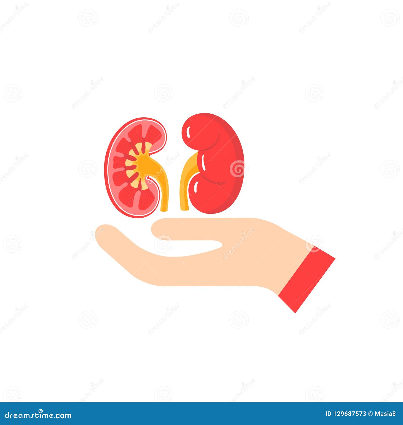 Kidney care vector concept stock vector. Illustration of medical ...