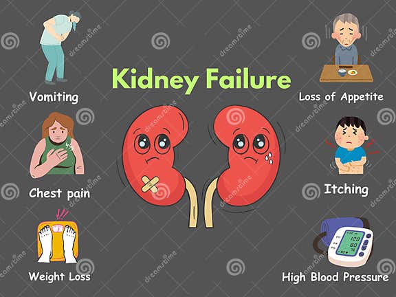 Kidney Failure Symptoms - 1 Stock Illustration - Illustration of failure, symptoms: 346962534