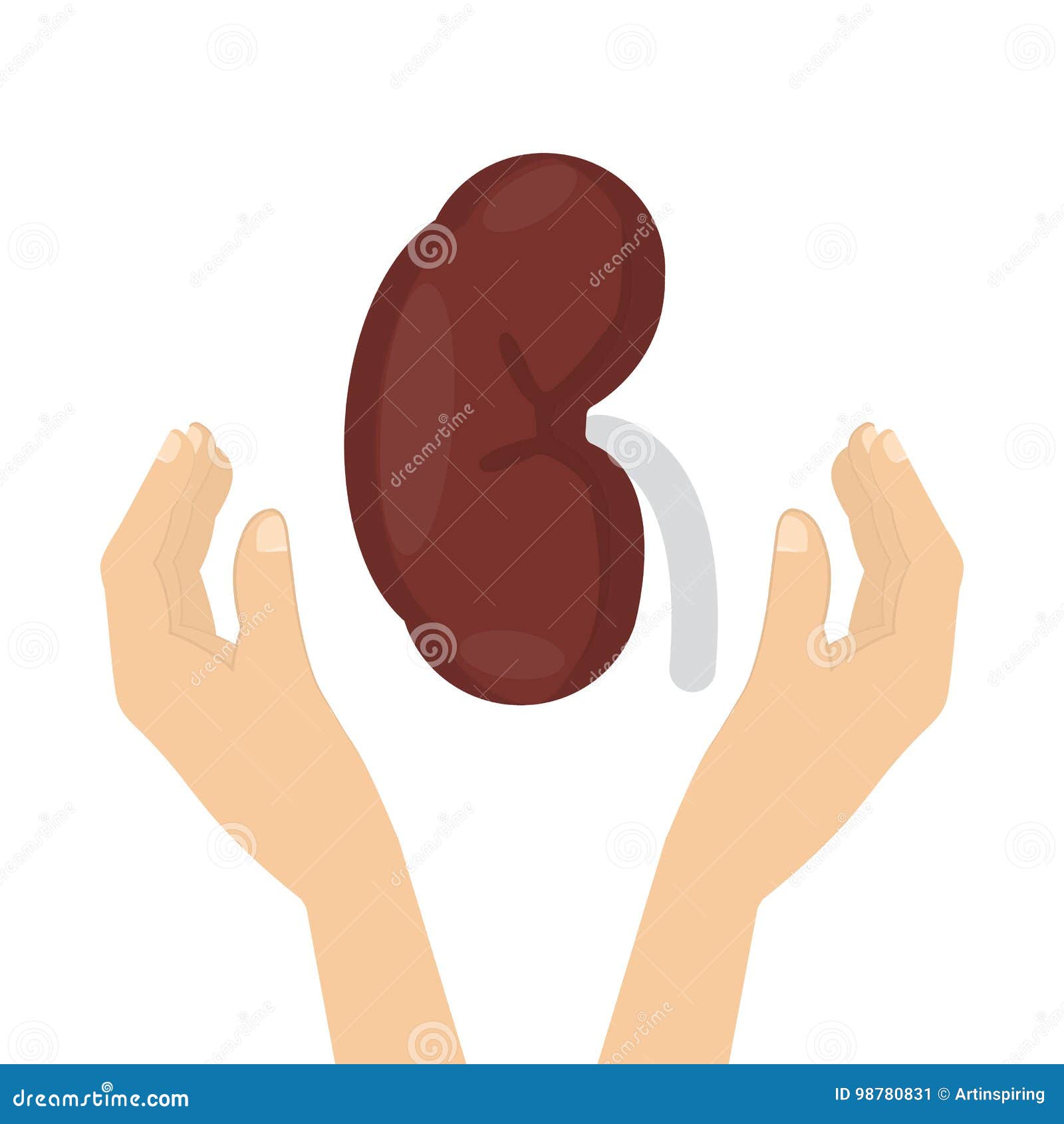 Kidney Donation Icon Design Body Organ Transplant Community Care Symbol ...