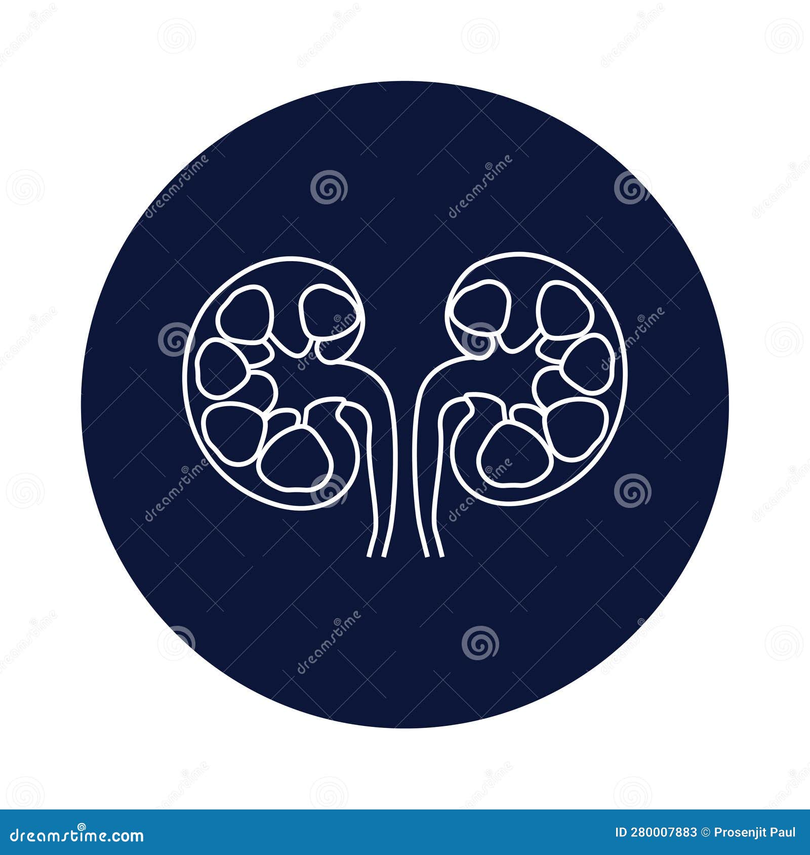 Kidney, Human Kidney, Diagram of Kidney, Kidney Icon Stock Vector ...