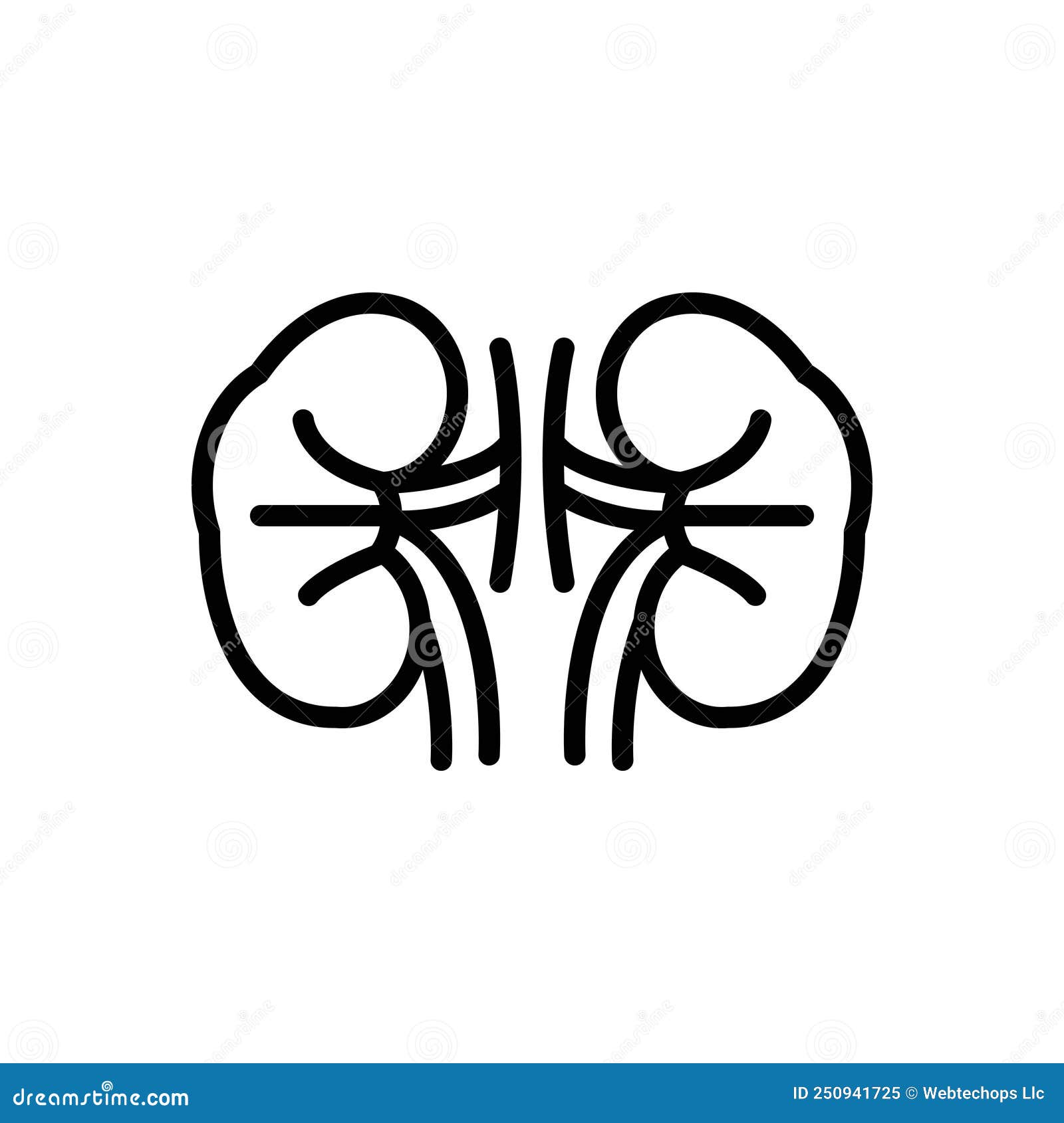 Black Line Icon for Kidney, Renal and Anatomy Stock Vector ...