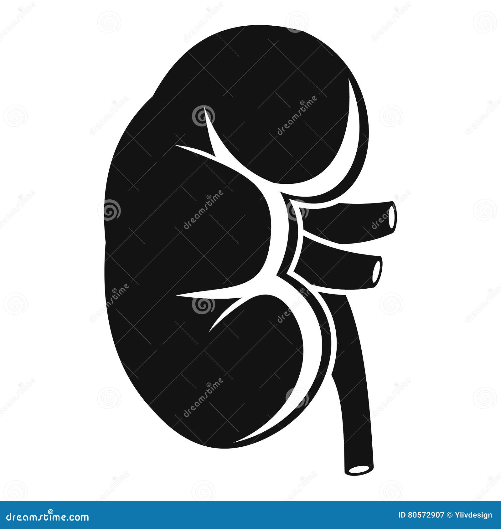 Kidney Icon Vector In Doodle Style. Nephrologist And Nephropathy ...