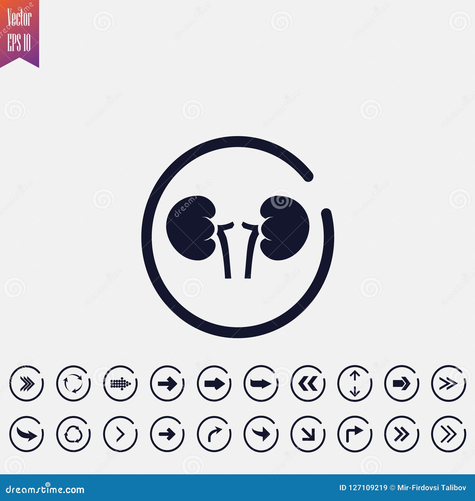 Kidney Icon, Vector Illustration. Flat Icon. Arrow Stock Illustration ...