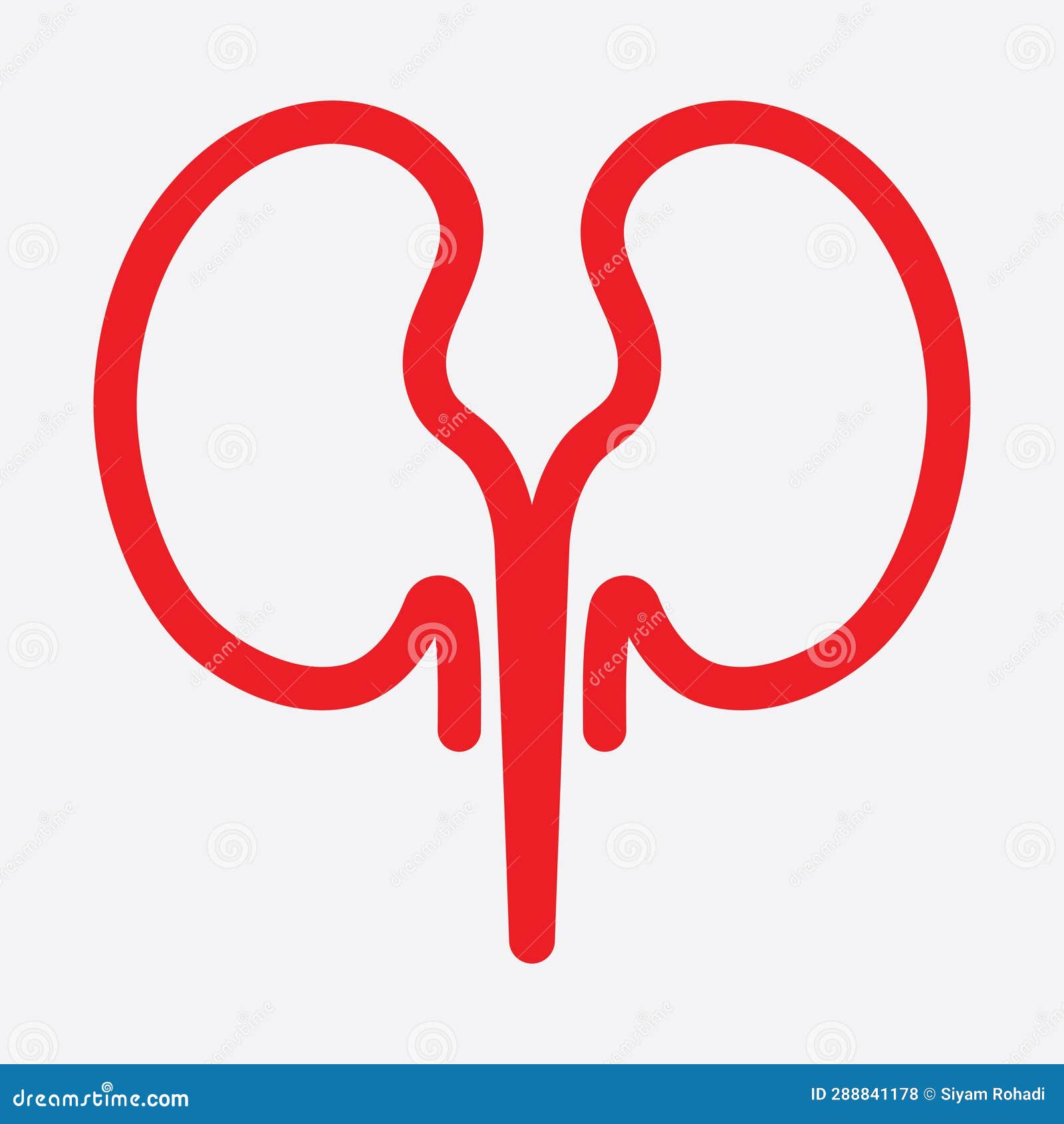 Kidney icon vector stock vector. Illustration of health - 288841178