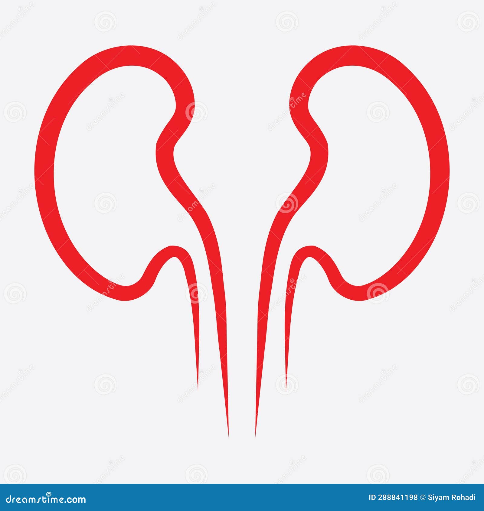 Kidney icon vector stock vector. Illustration of biology - 288841198