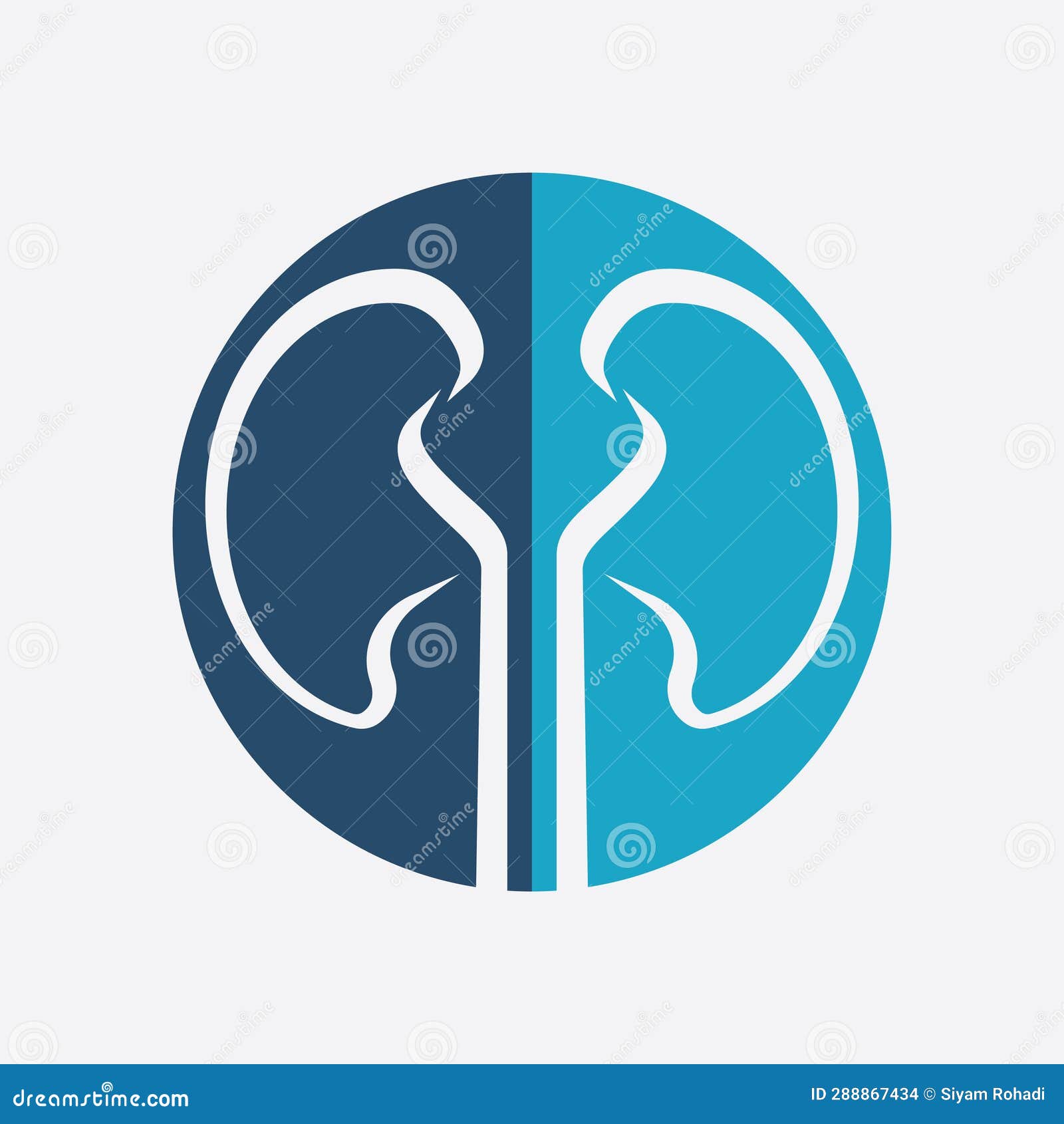 Kidney icon vector stock illustration. Illustration of outline - 288867434