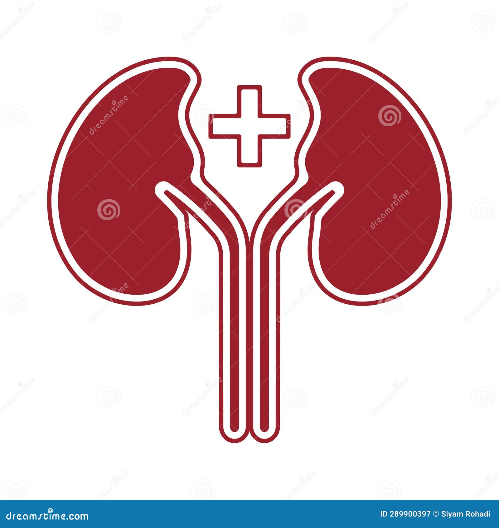 Kidney icon vector stock vector. Illustration of medical - 289900397