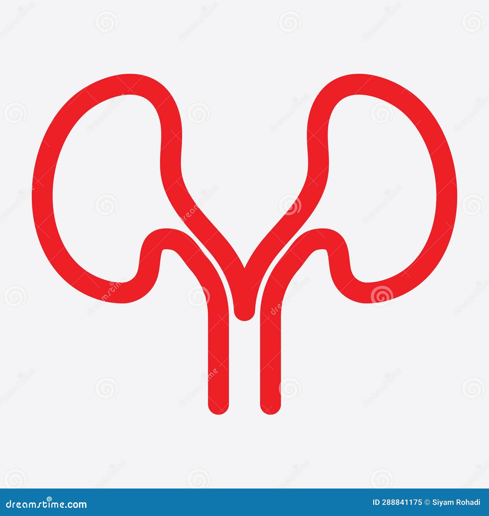 Kidney icon vector stock illustration. Illustration of clinic - 288841175