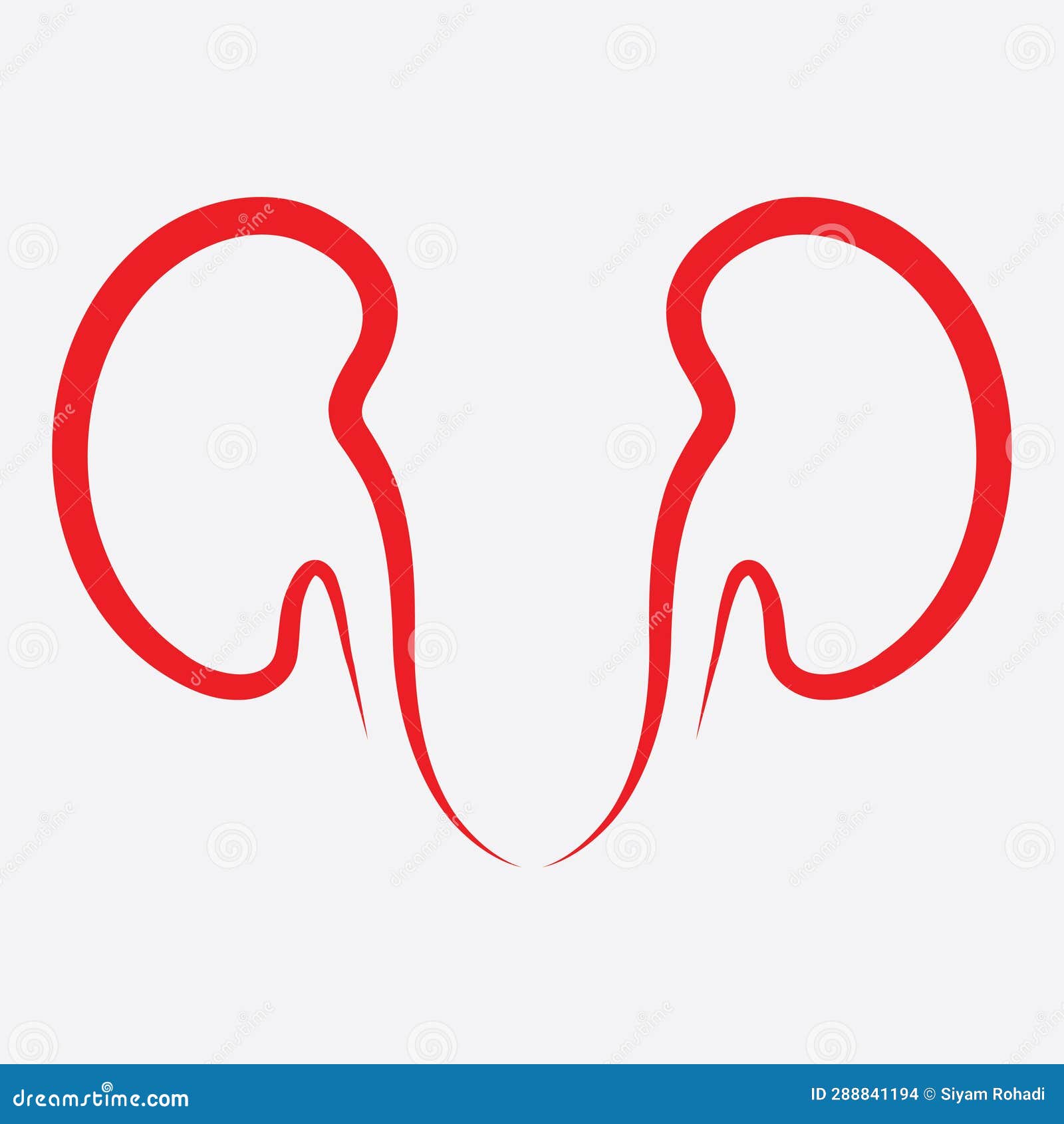Kidney icon vector stock illustration. Illustration of biology - 288841194