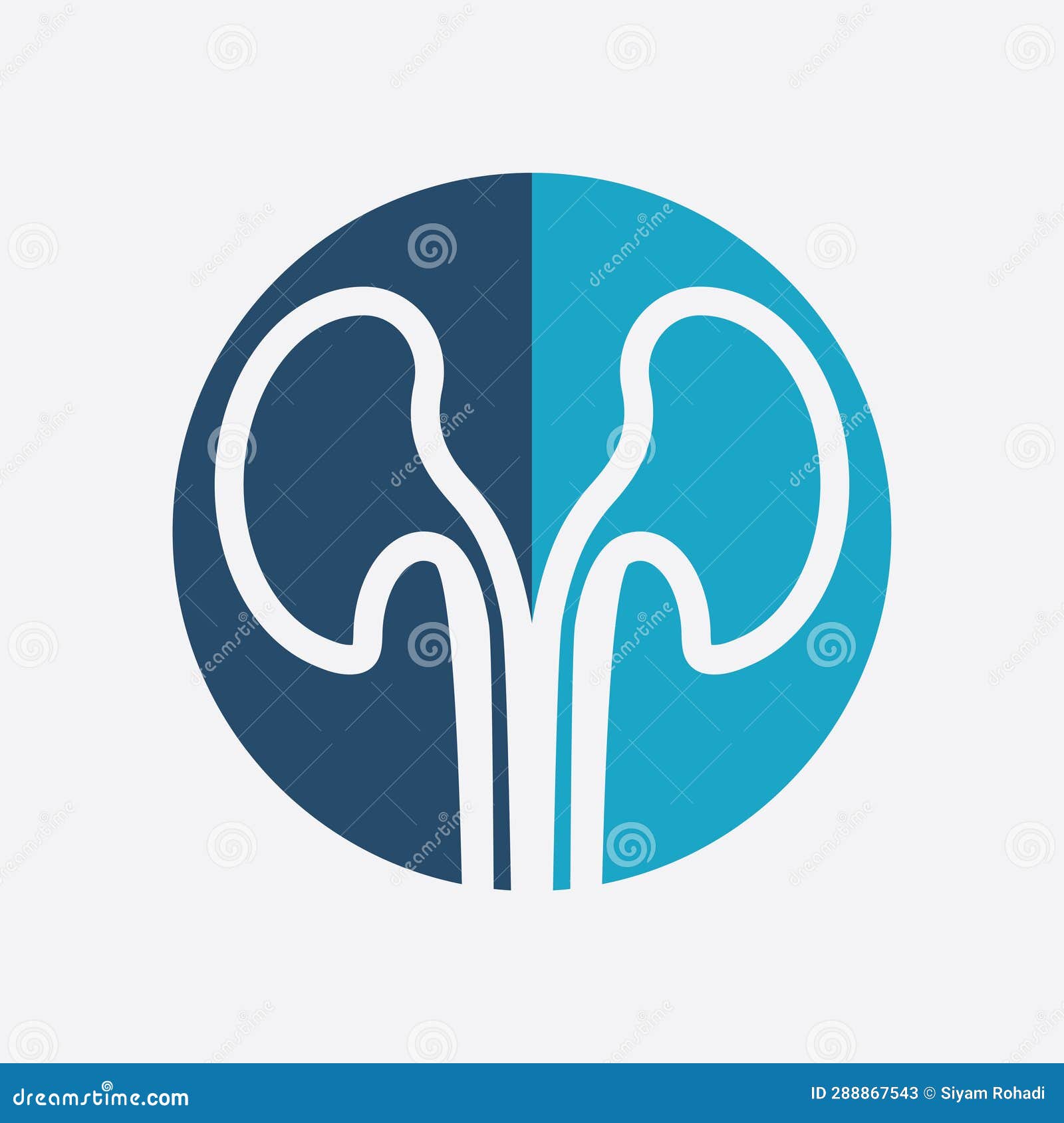 Kidney icon vector stock vector. Illustration of hospital - 288867543