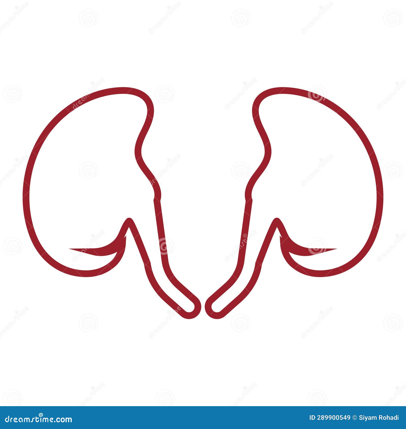 Kidney icon vector stock vector. Illustration of biology - 289900549