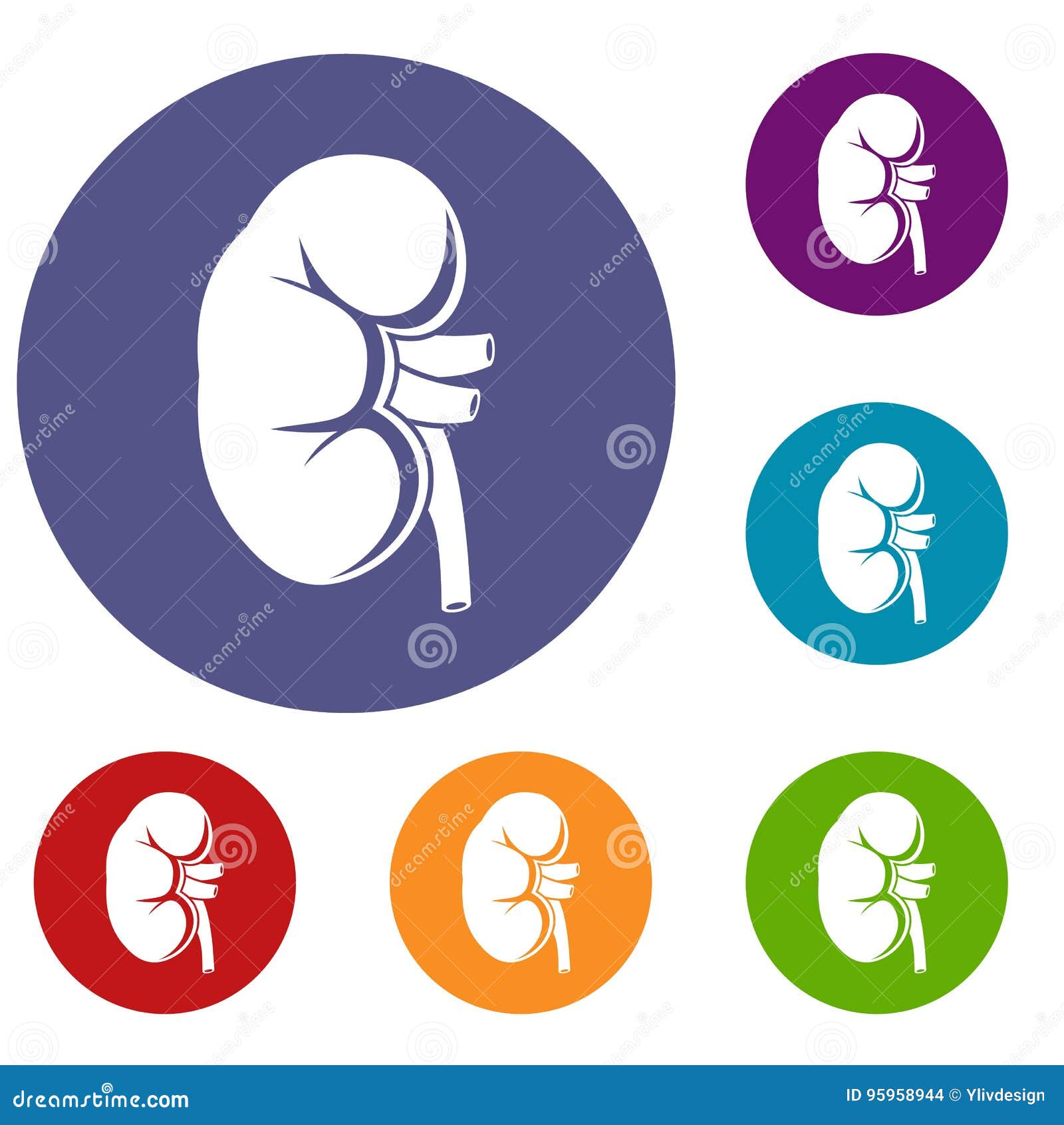 Kidney icons set stock vector. Illustration of care, human - 95958944