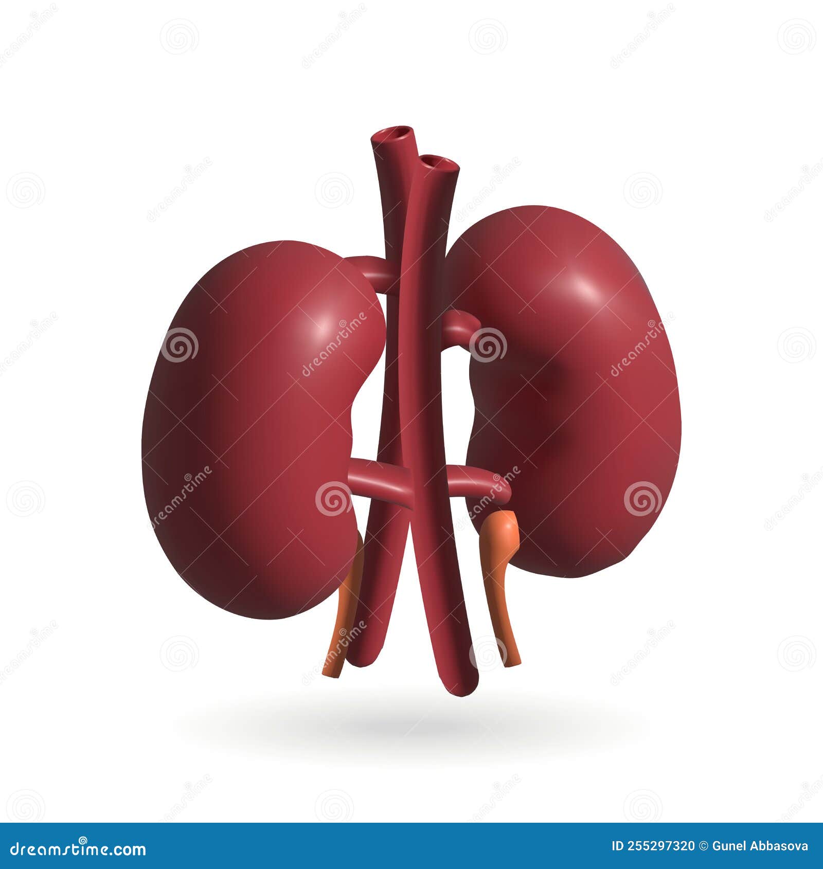 Kidney Isolated 3d Icon. Kidneys 3d Illustration Stock Vector ... Kidney Isolated 3d Icon. Kidneys 3d Illustration Stock Vector ...